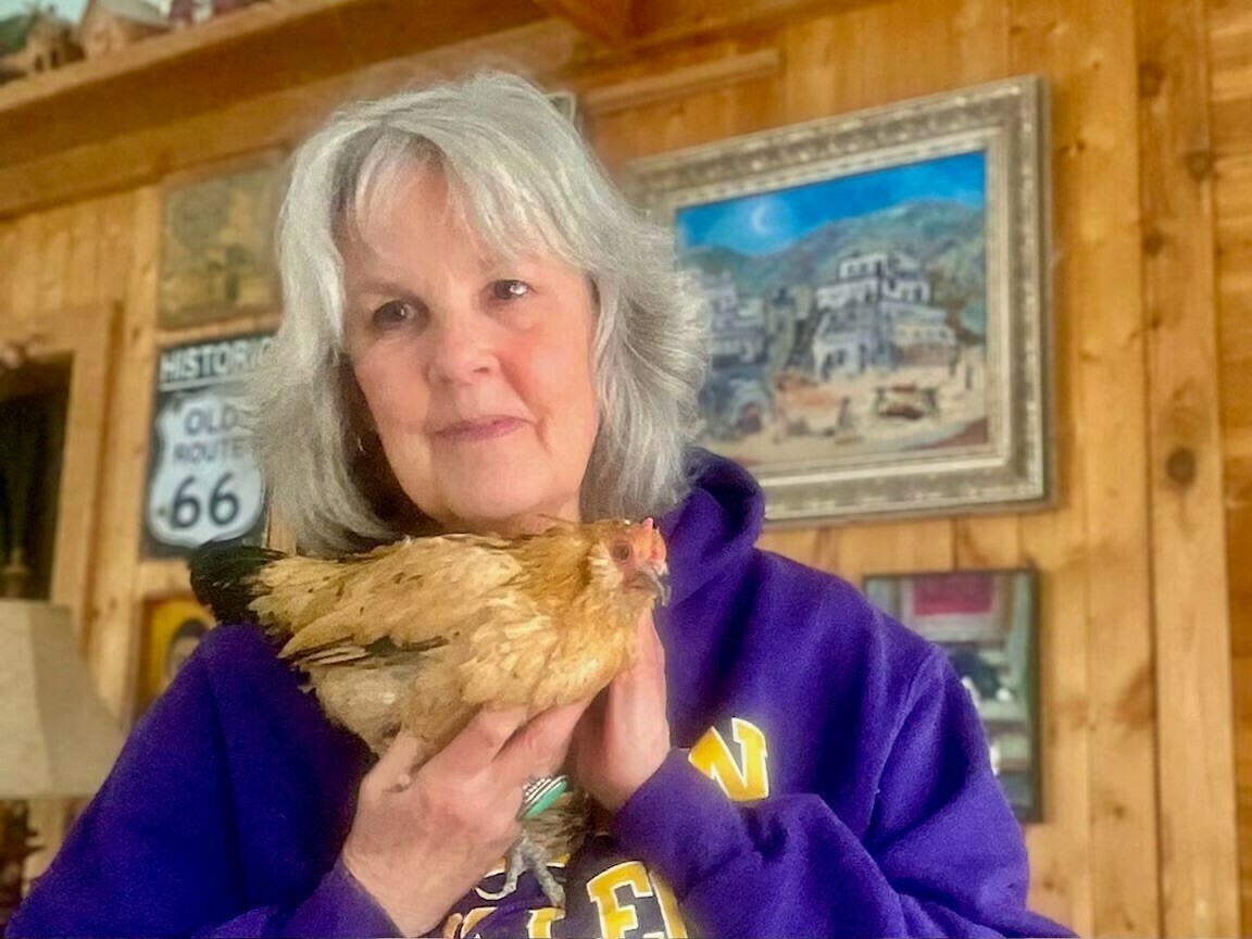 Meet Peanut, a 21-year–old chicken and world record holder | NCPR News