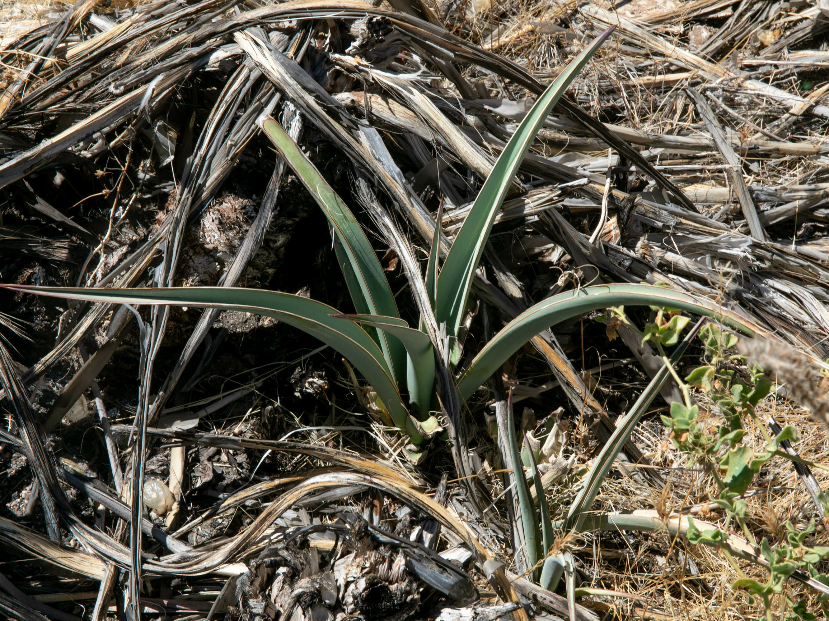 In a charred moonscape, a band of hopeful workers try to save the ...