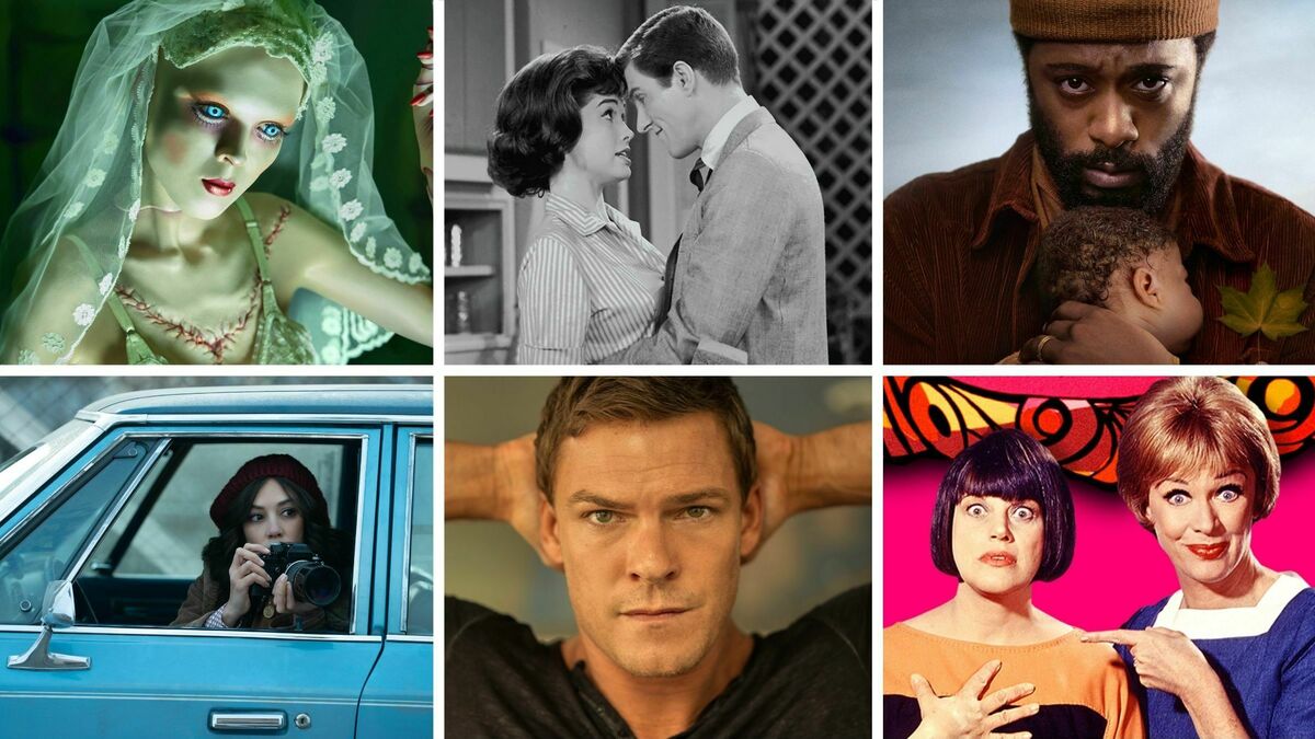 What to watch, fall 2023: The best TV by platform and genre : NPR