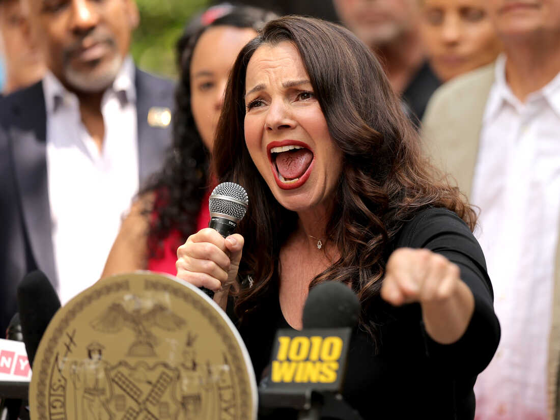 Fran Drescher on How the Hollywood Strikes Can End : Consider This from ...