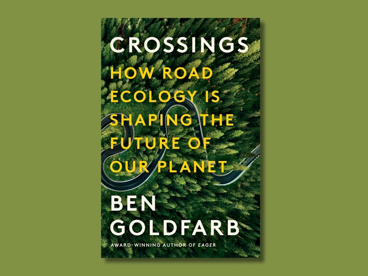 From "massive squishings" to the insect apocalypse, roads are ...