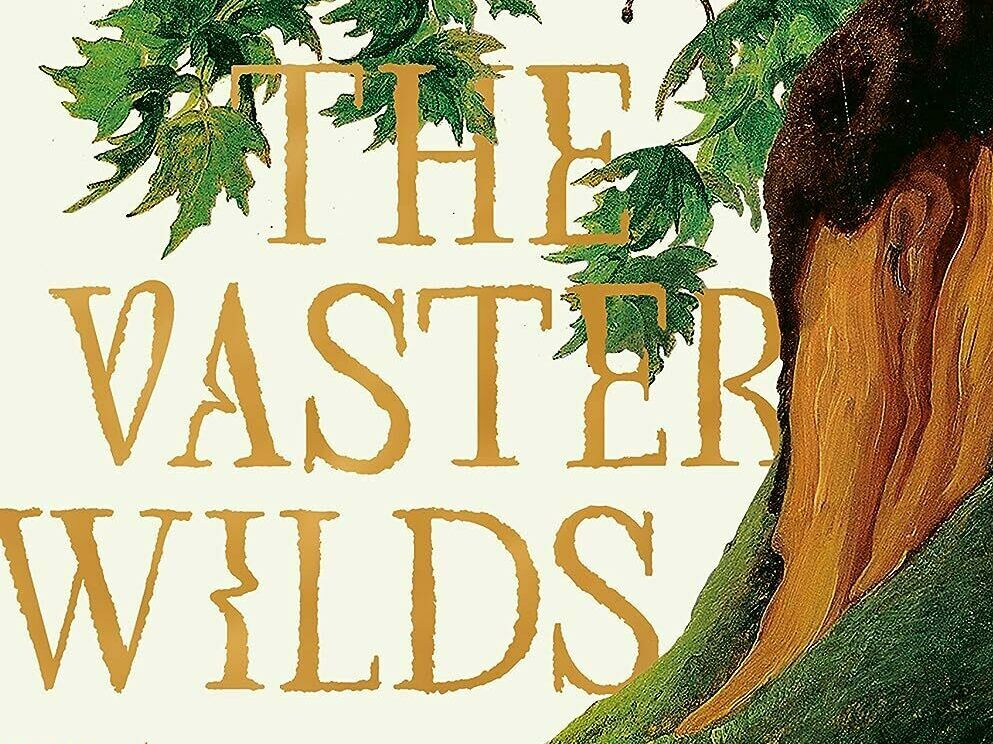 Lauren Groff's survivalist novel 'The Vaster Wilds' will test your ...