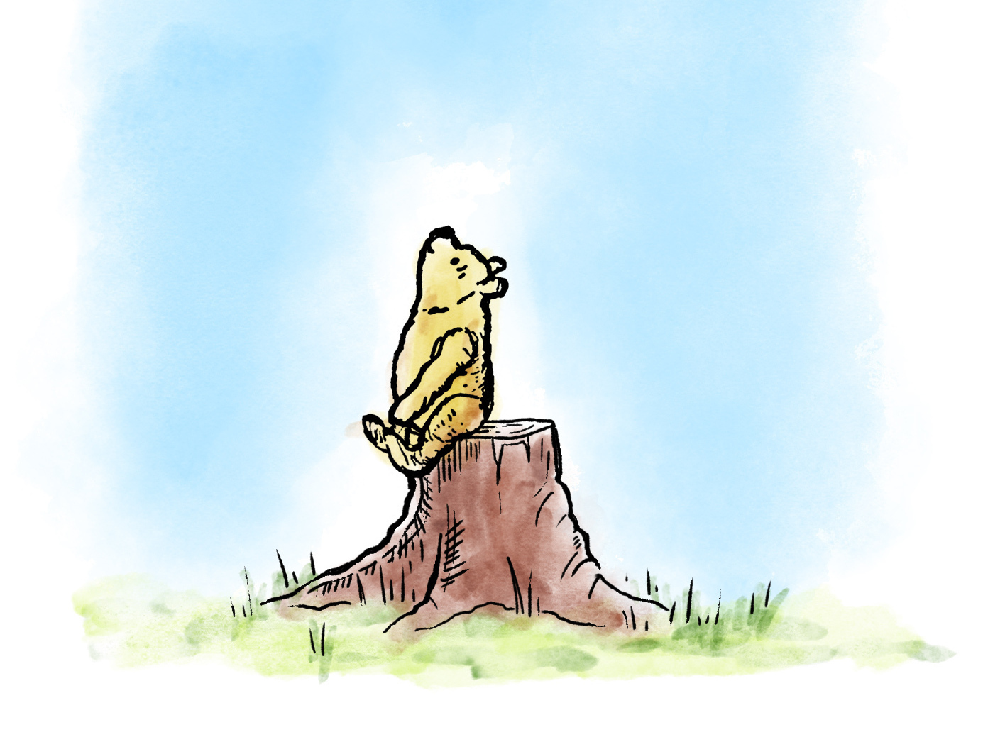 Deforestation Before And After Drawing Home Team Europe Initiative