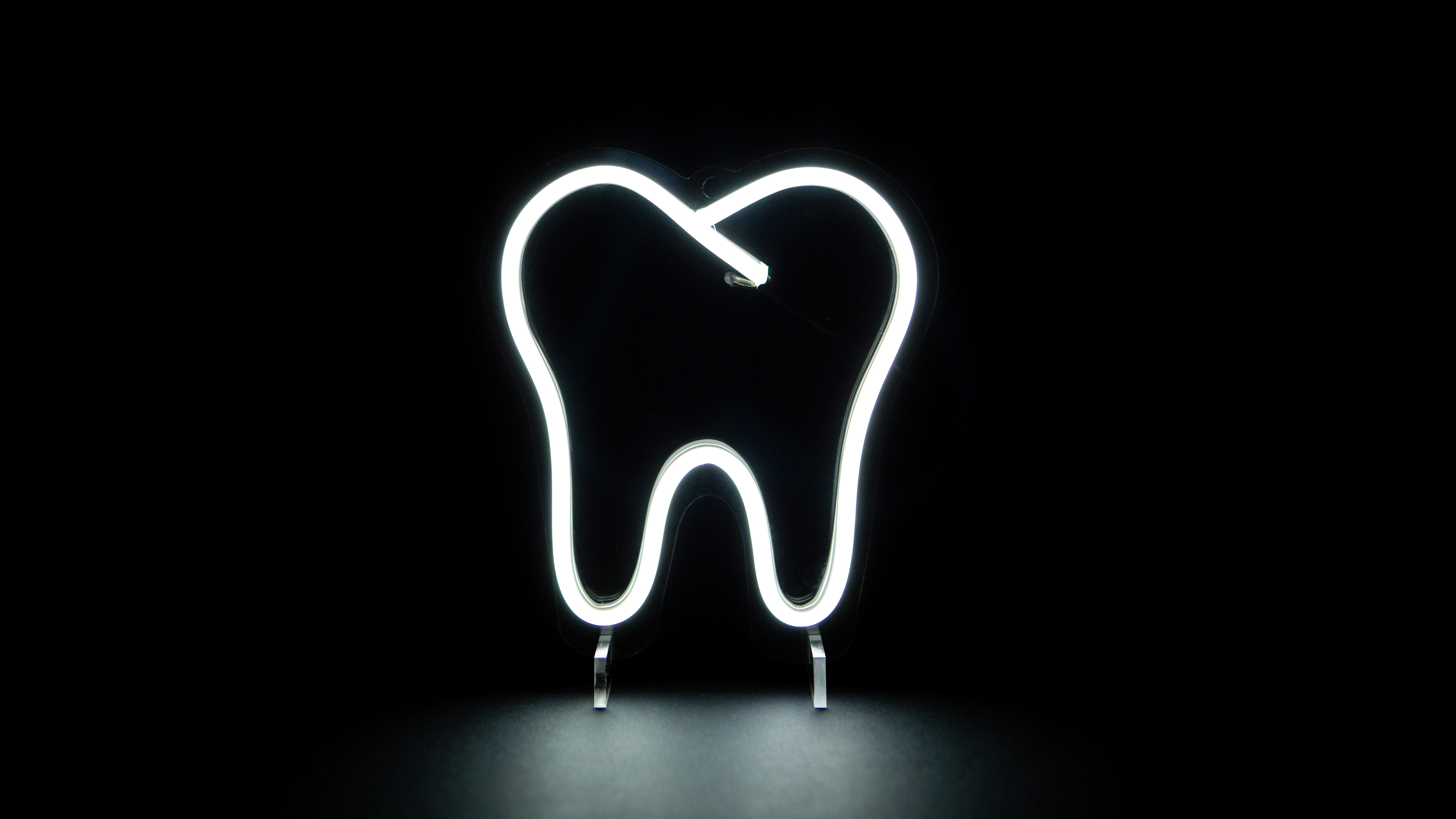 Teeth: an owner's manual : NPR One