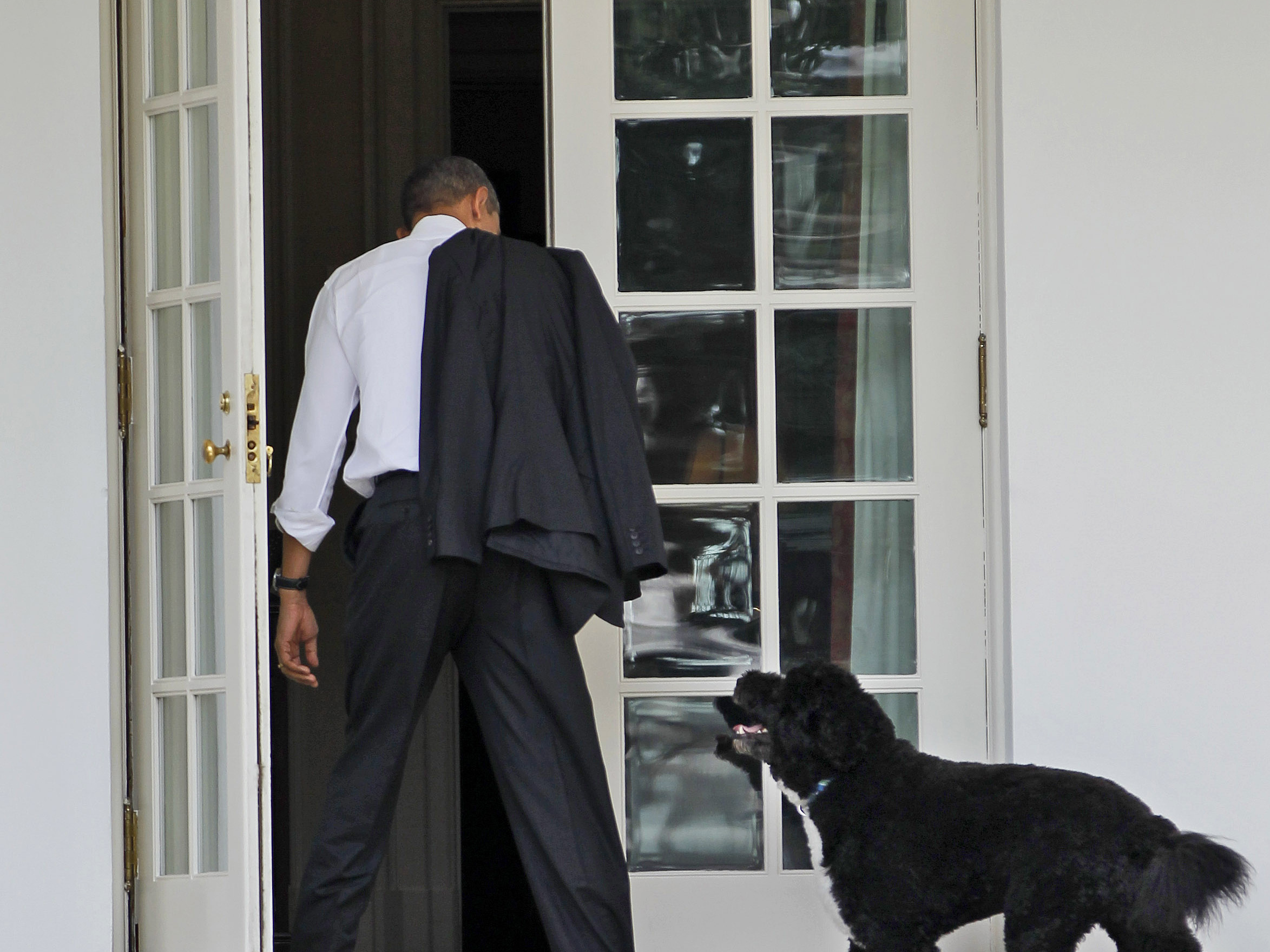 Presidential pets can breed controversy. A dog was once suspected of ...