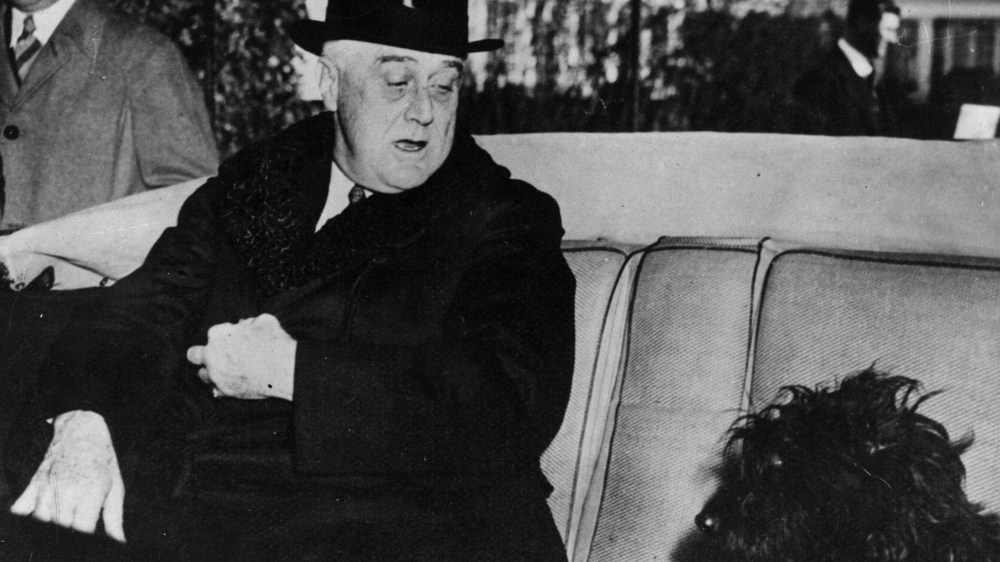 Biden's dog Commander joins the list of unforgettable presidential pets ...