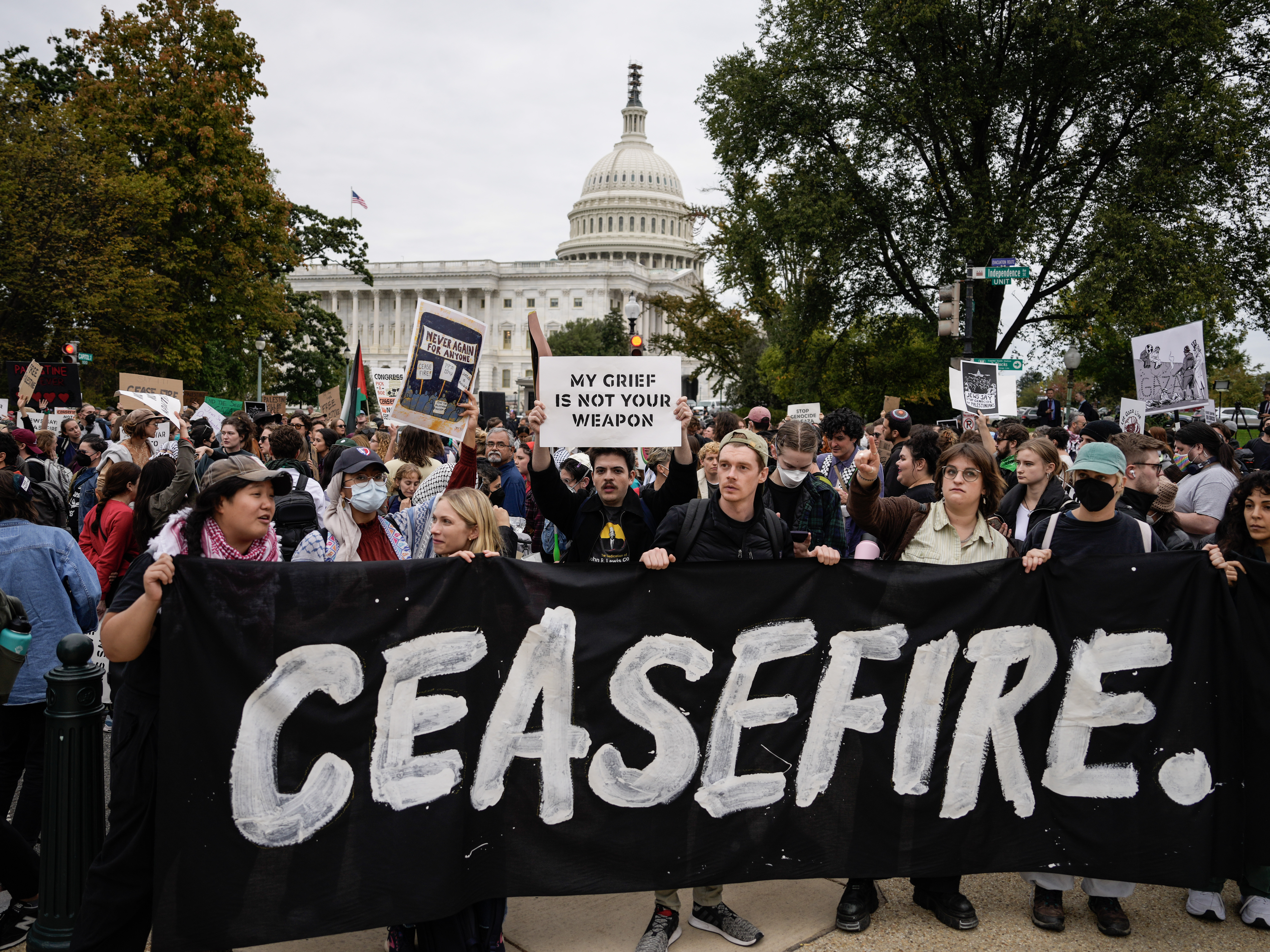 Young progressive Democrats are splitting from the party on Israel ...