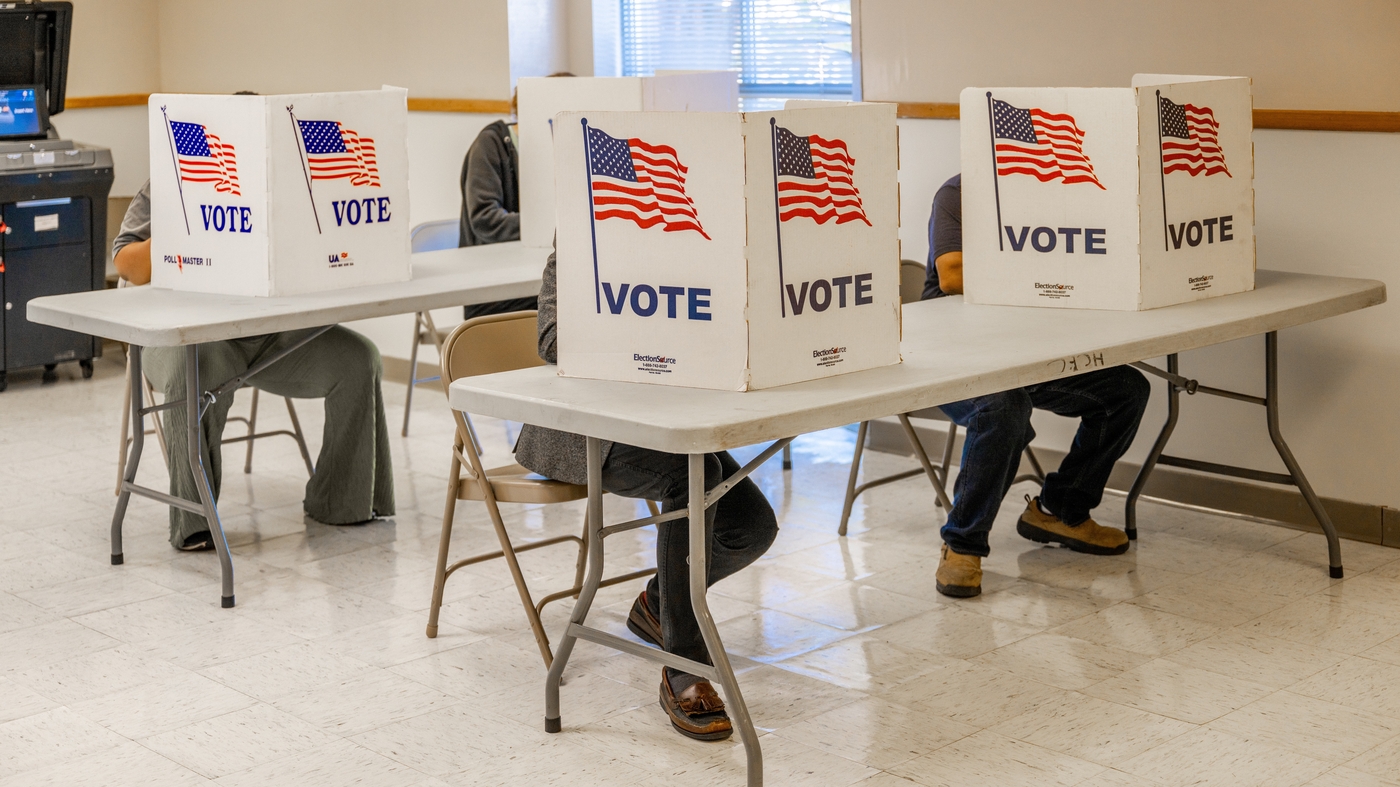 Why Is It Getting Harder To Fight Election Misinformation? : The NPR ...