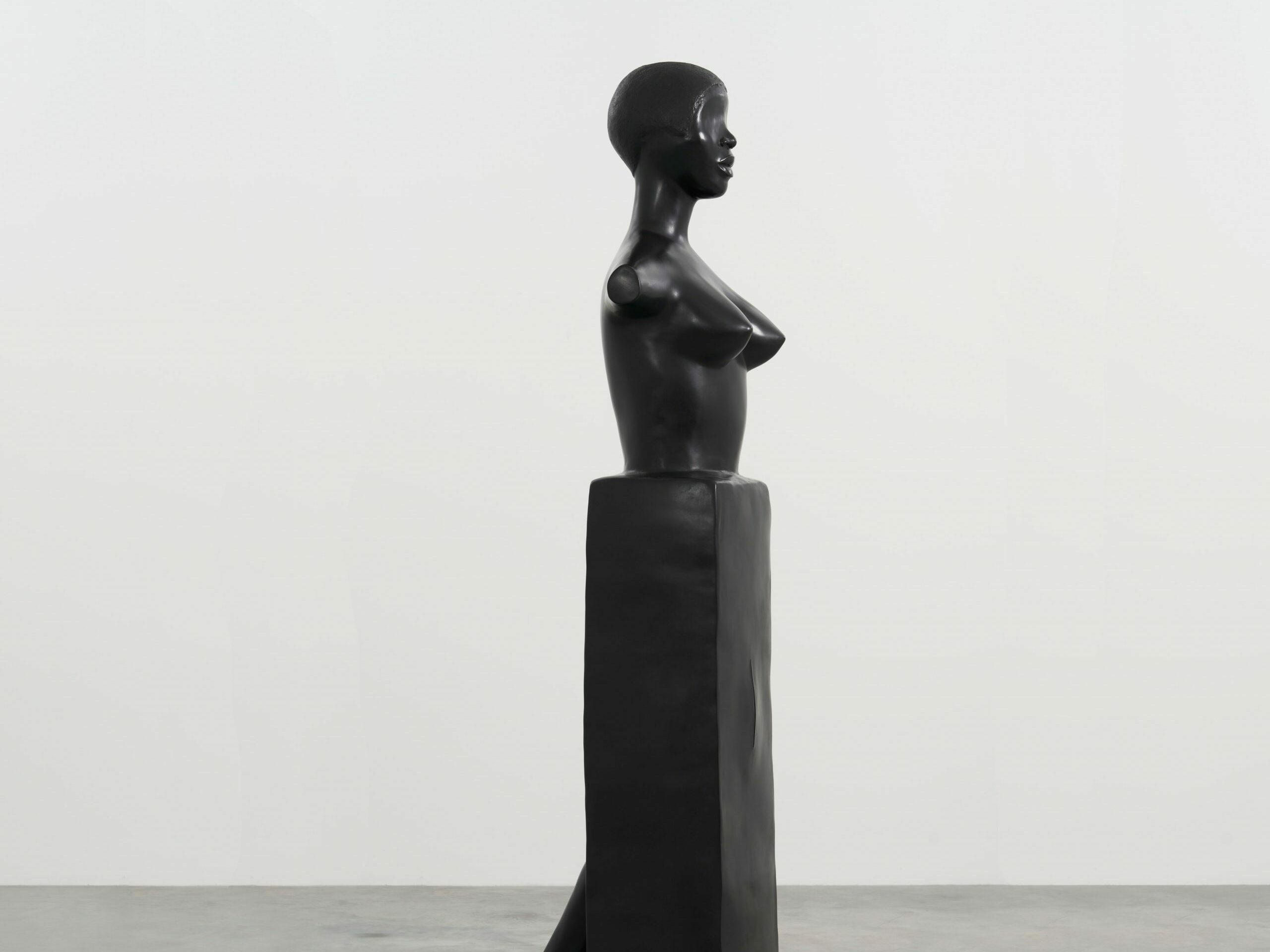 Smithsonian's Hirshhorn Museum hosts a retrospective of Simone Leigh's ...