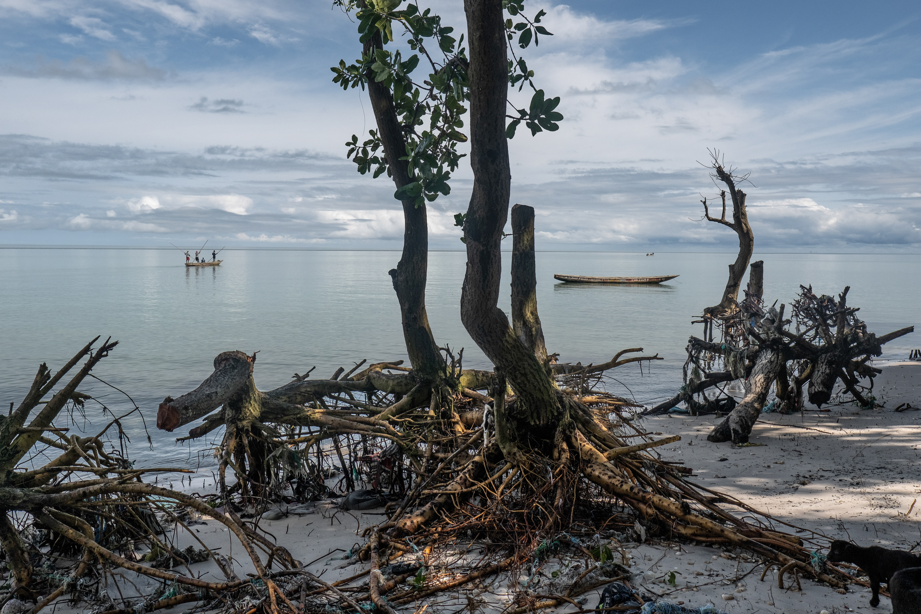 A disappearing island: 'The water is destroying us, one house at a time ...