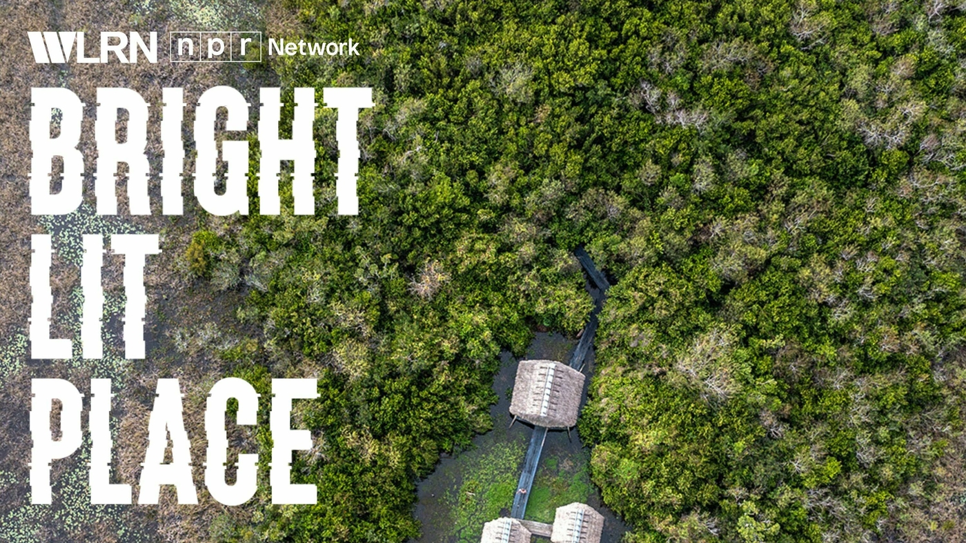 Something for Everyone : Bright Lit Place : NPR