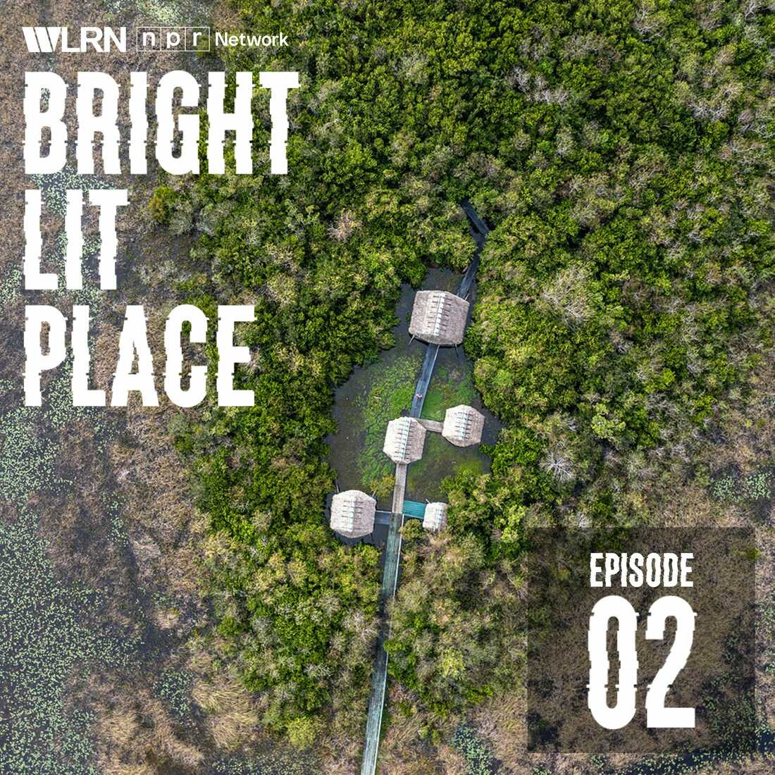 Something for Everyone : Bright Lit Place : NPR