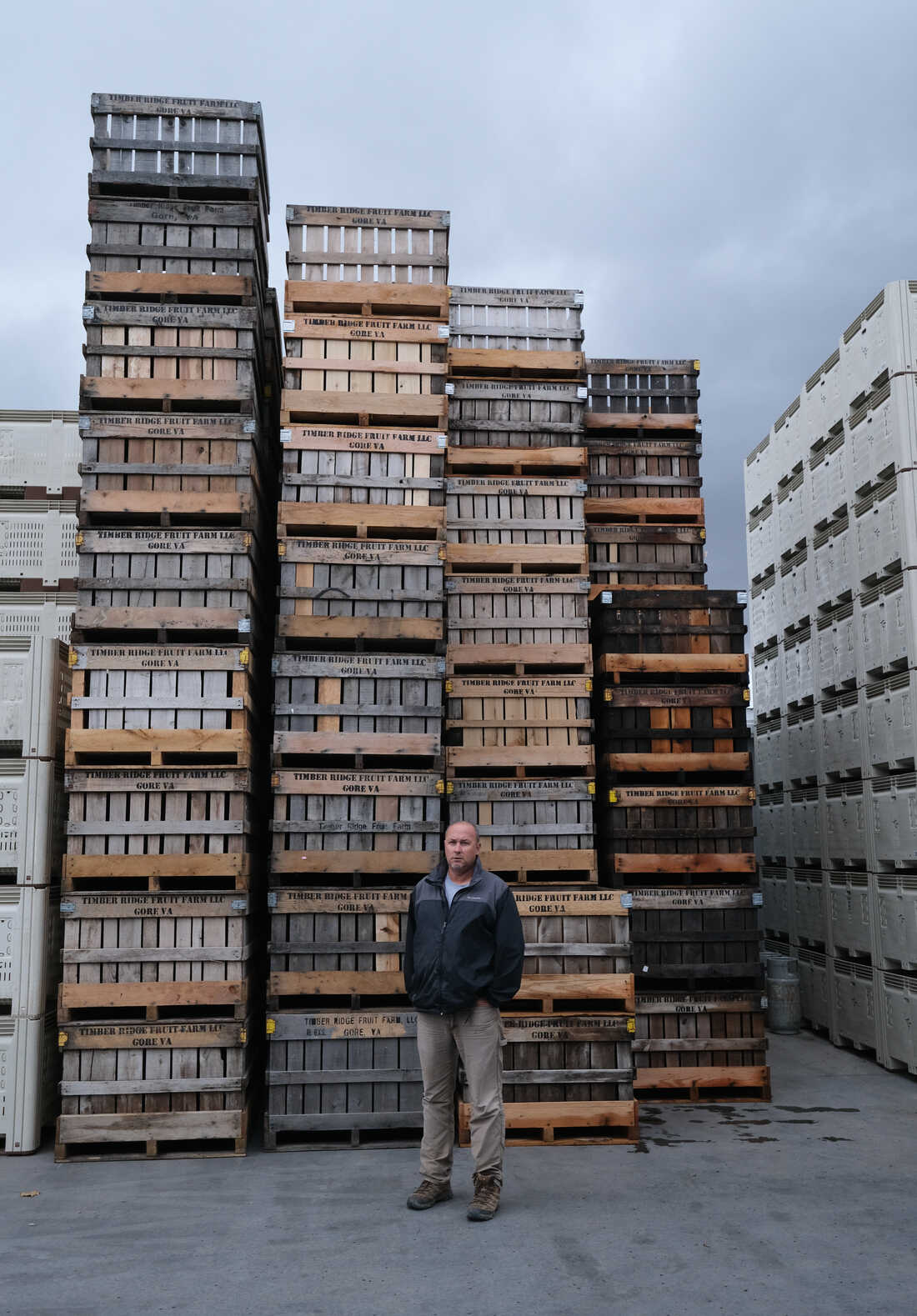 U.S. apples are in surplus. They won't all rot but go to feed hungry ...