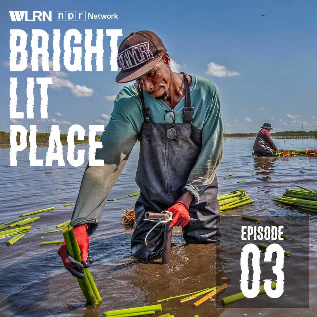 The Reverse Farm : Bright Lit Place : NPR