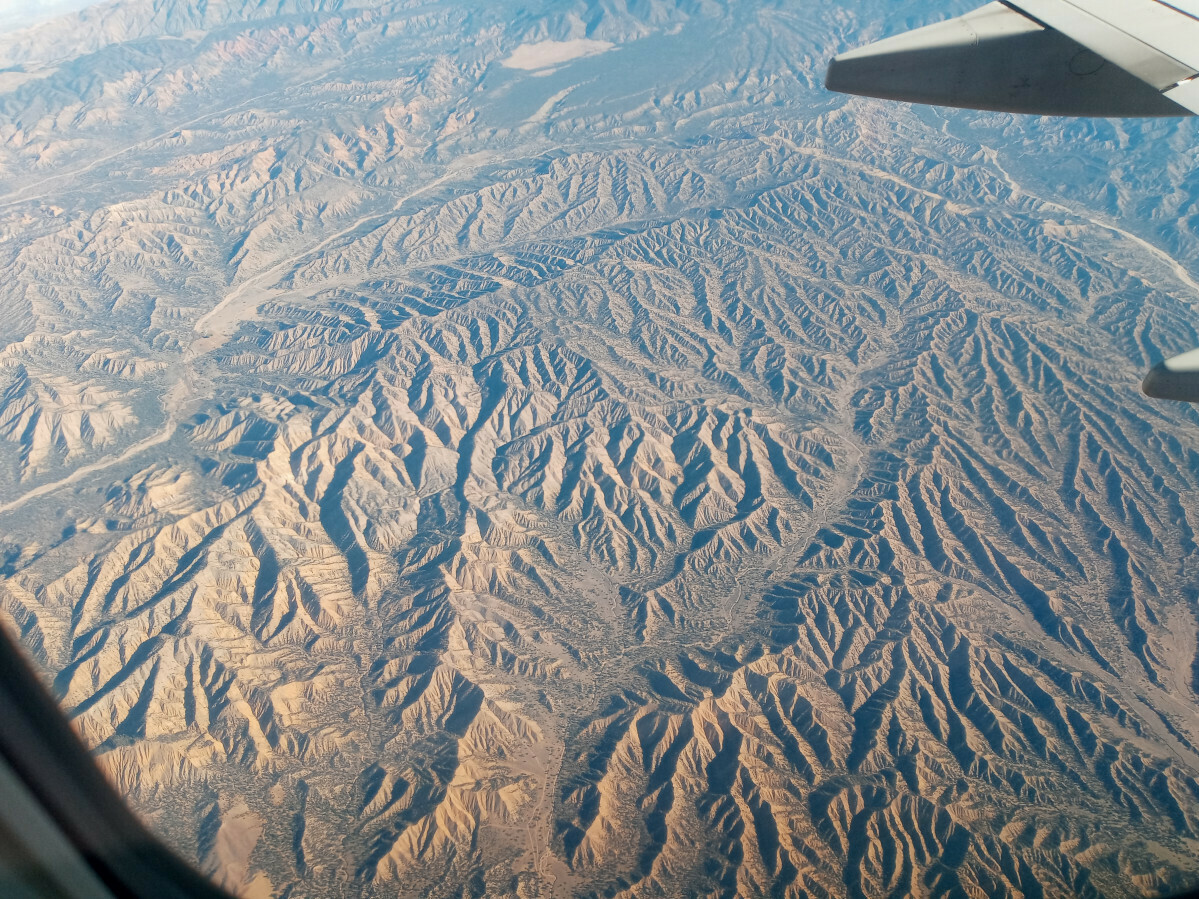 From pickleball to Cat'lympics, these are your favorite hobbies of the ...