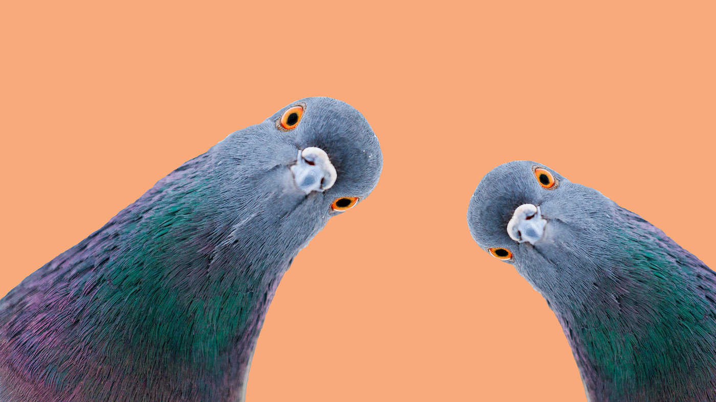 We resist change and surprises—but shock can shift our lives for the ...