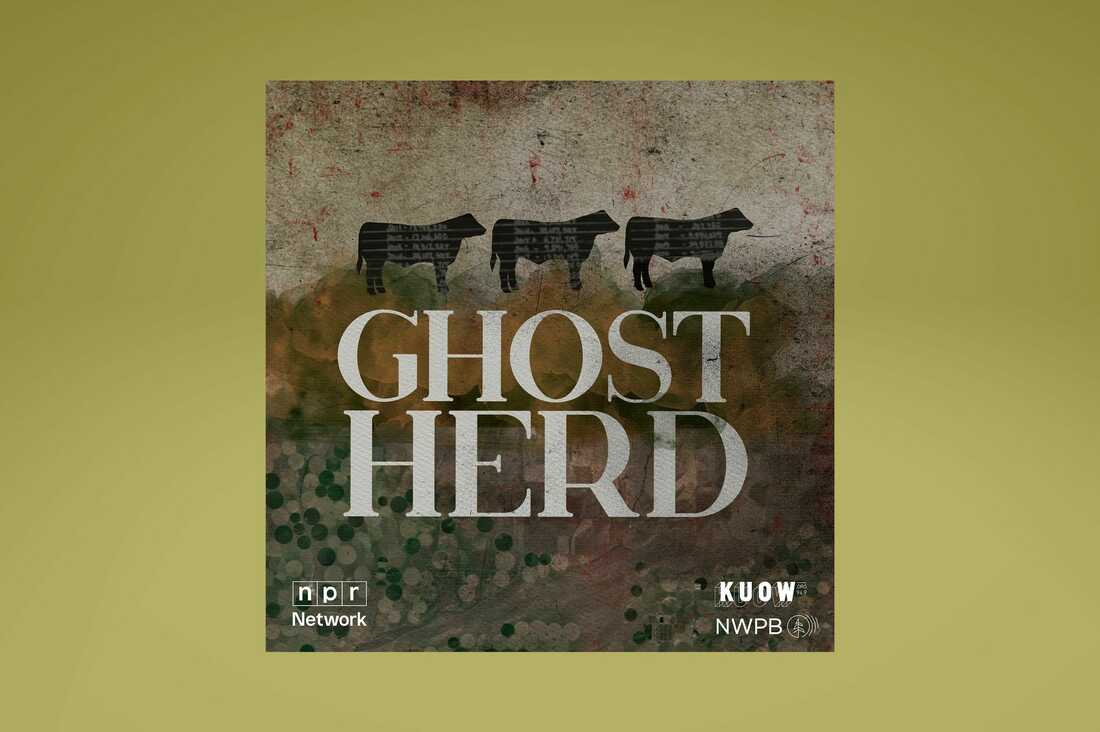 New & noteworthy podcasts to listen to on the NPR app : NPR