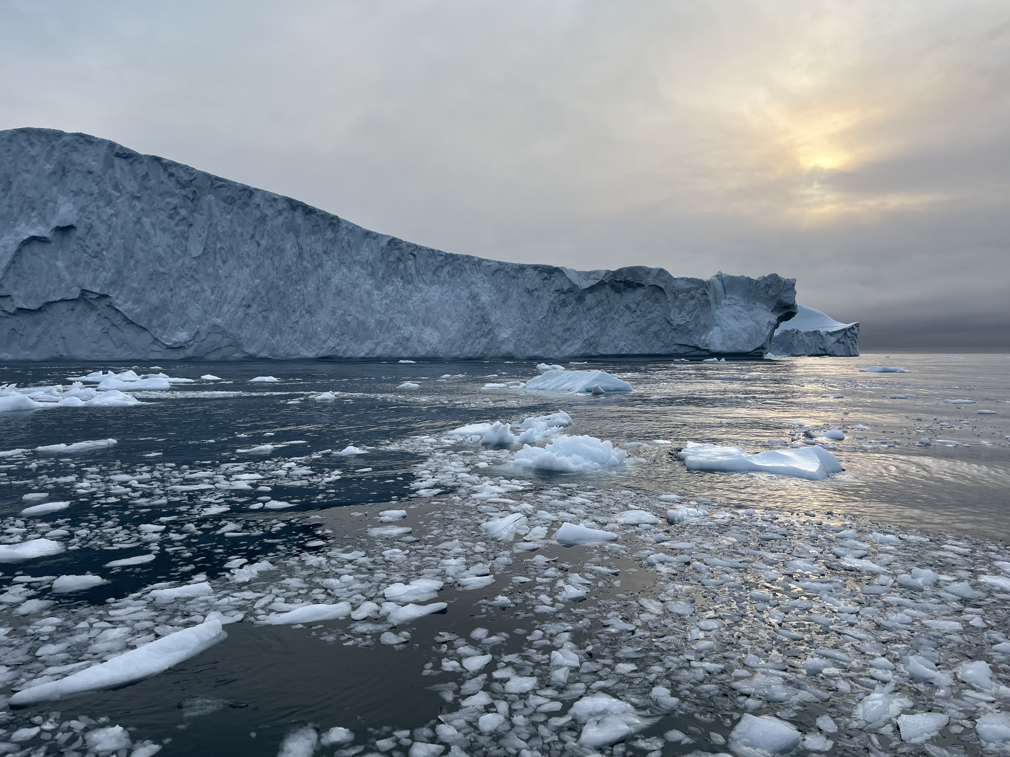 Arctic "report card" points to rapid and dramatic impacts of climate change | WBUR