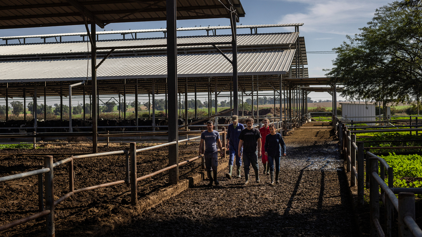 The Hamas attack left many Israeli farms abandoned — some worry forever ...
