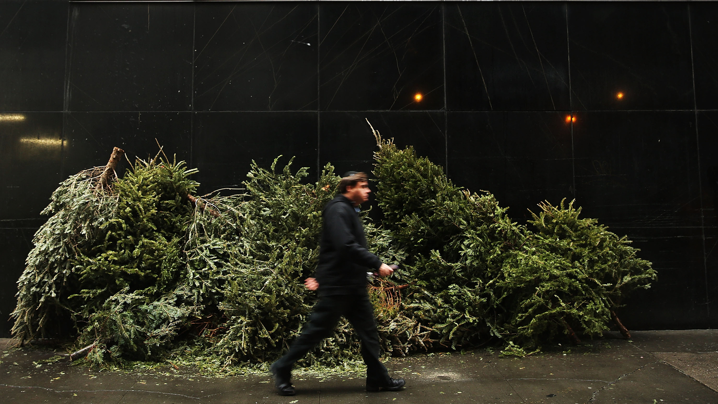 How to give your Christmas tree new life or kick it to the curb : NPR