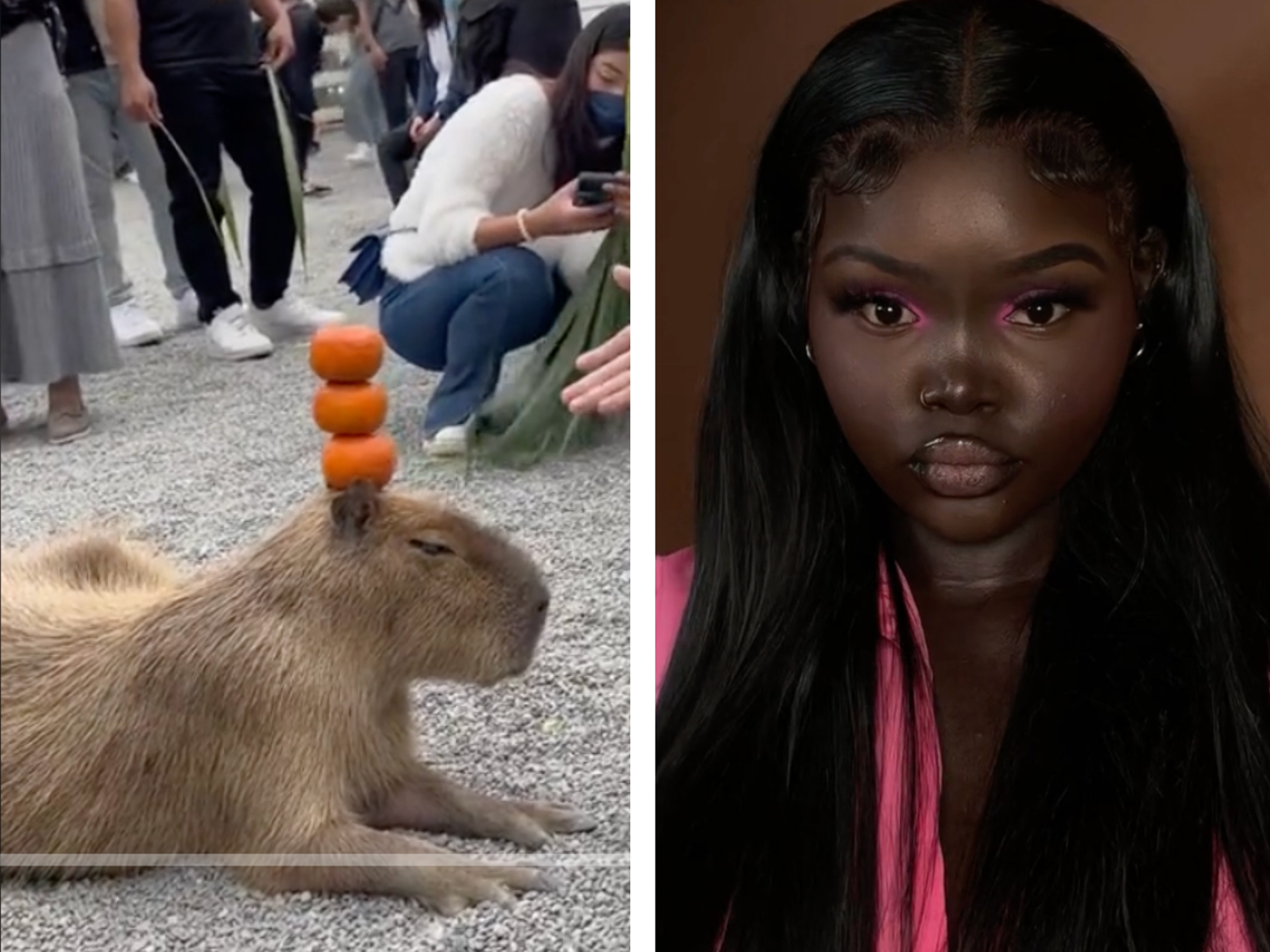 Top global TikToks of 2023: Mr. Bean of math, makeup demo, capybaras ...