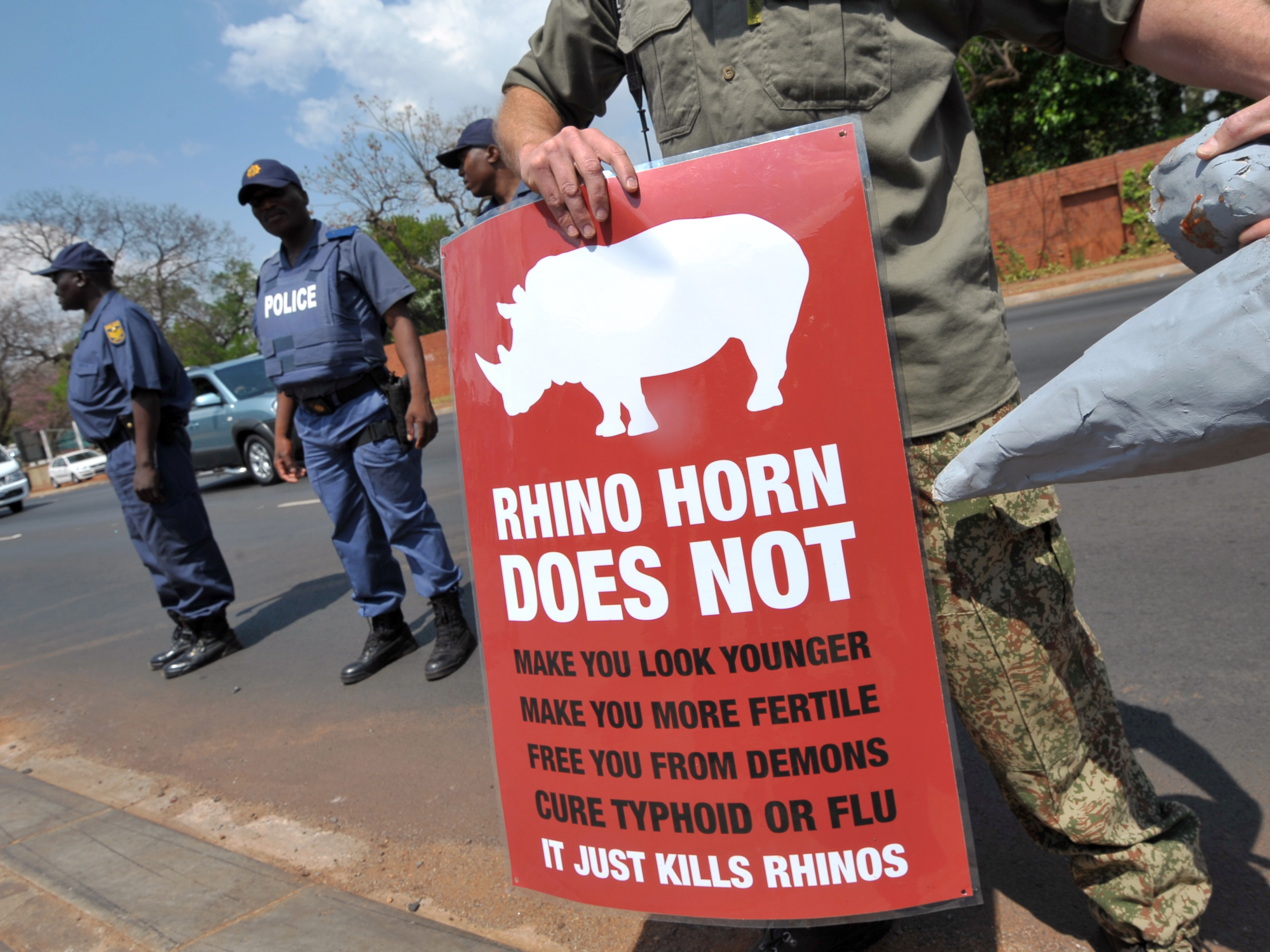 Could lab-grown rhino horns stop poaching? Why we may never know | NCPR ...