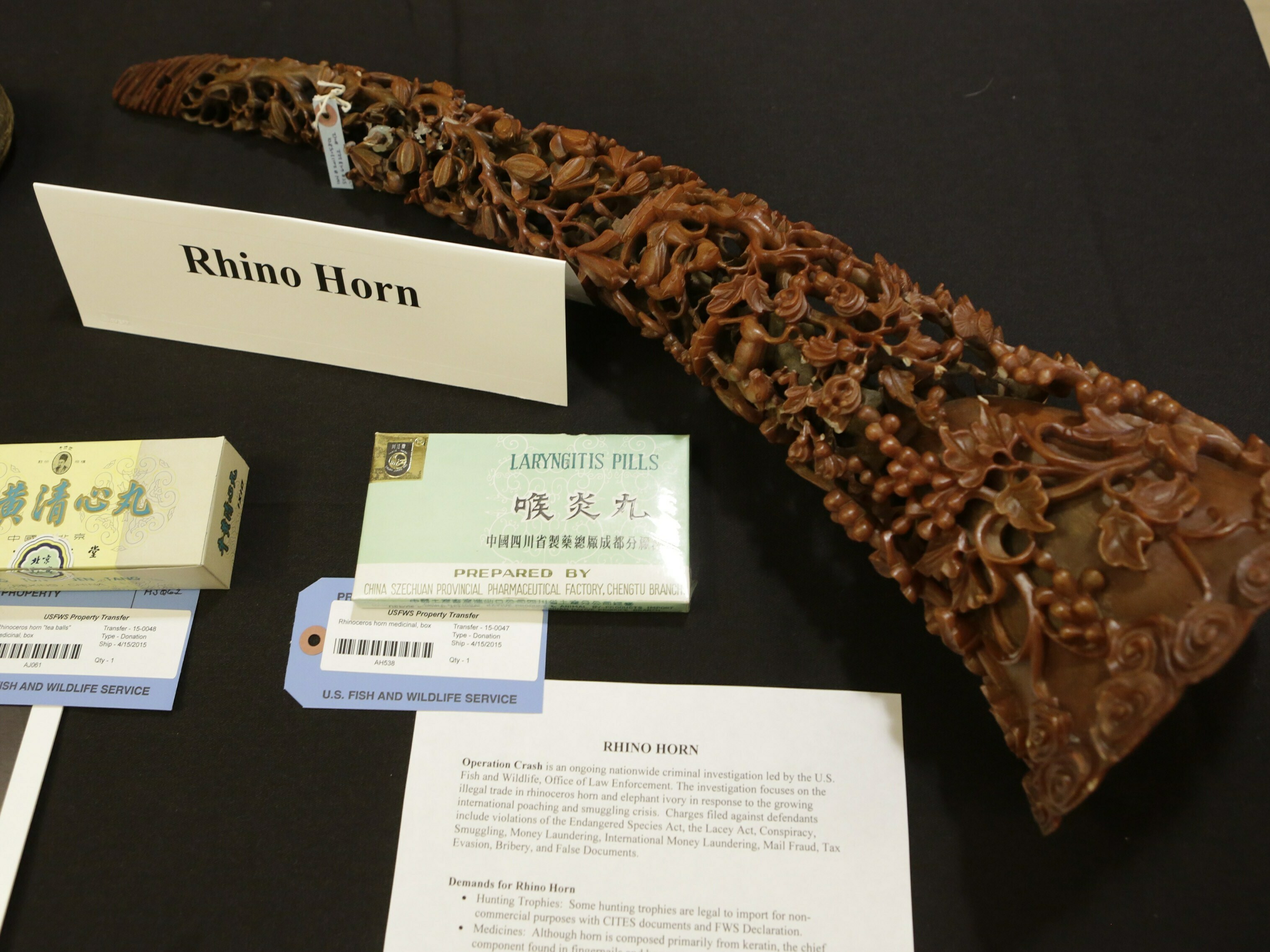 Could lab-grown rhino horns stop poaching? Why we may never know | NCPR ...