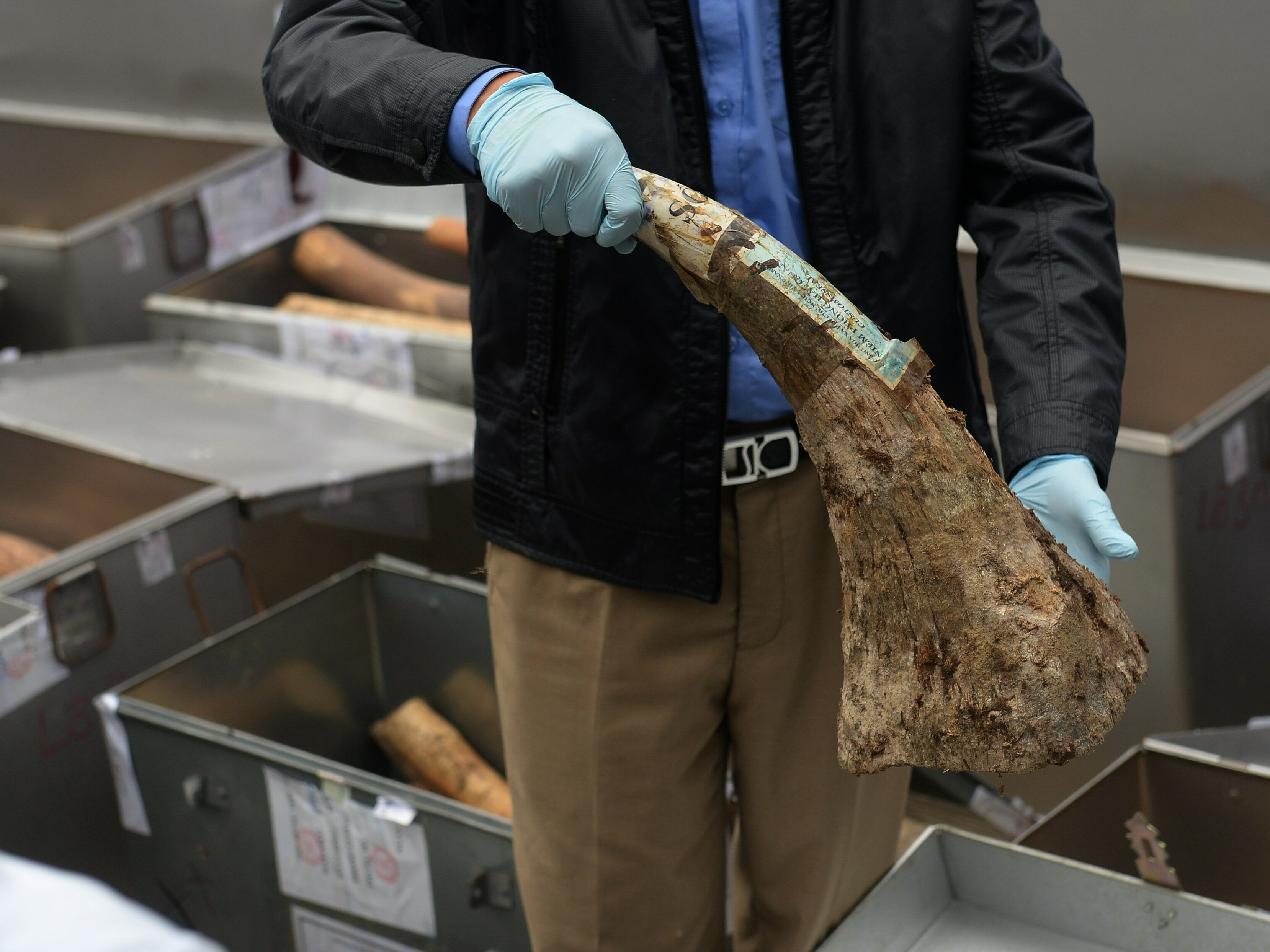 Could lab-grown rhino horns stop poaching? Why we may never know | NCPR ...
