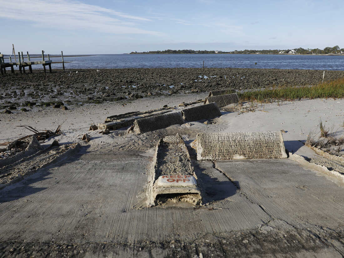 Nature may provide the best hurricane shoreline protection : NPR