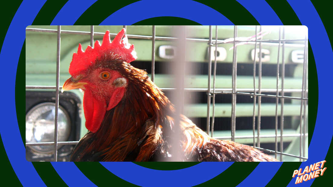 How a trade dispute over chicken led to the dominance of the American ...