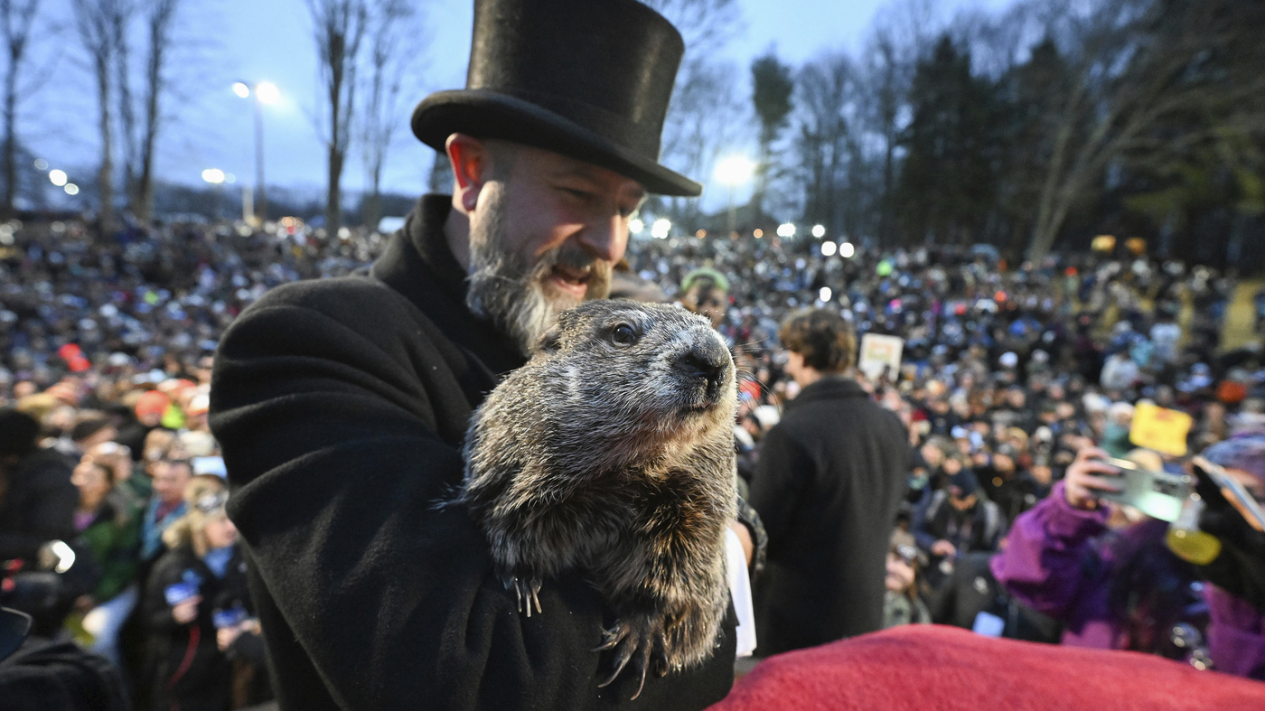Punxsutawney Phil rises without a shadow, forecasting early spring : NPR