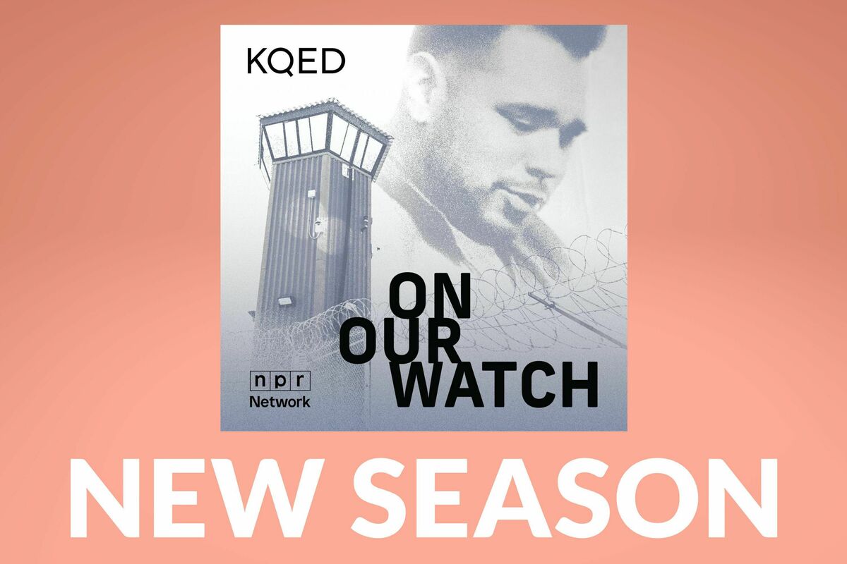 New & noteworthy podcasts to listen to on the NPR app : NPR