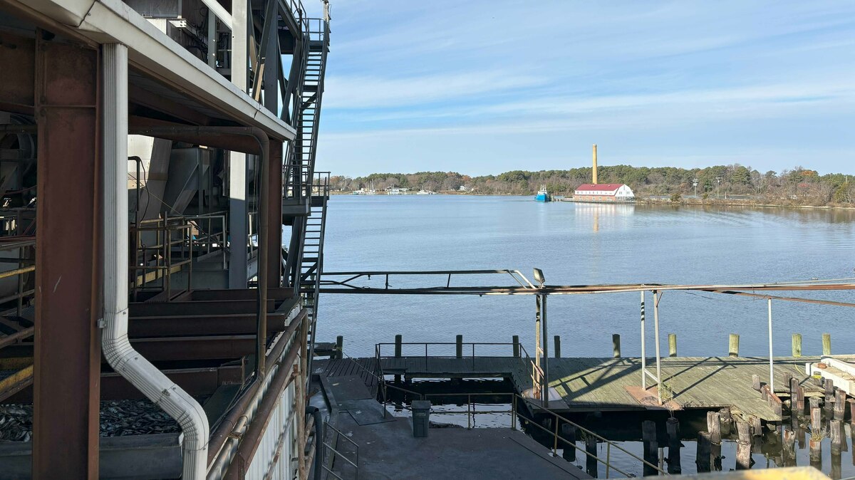 In Virginia, a decades-long fight over Chesapeake Bay menhaden heats up ...