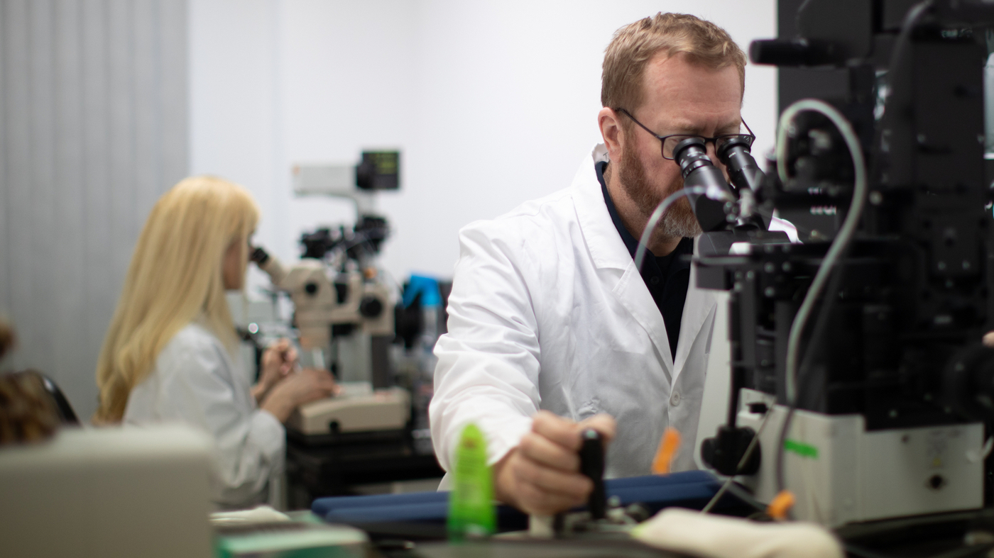 Genetically modified pigs could provide unlimited organs for human ...