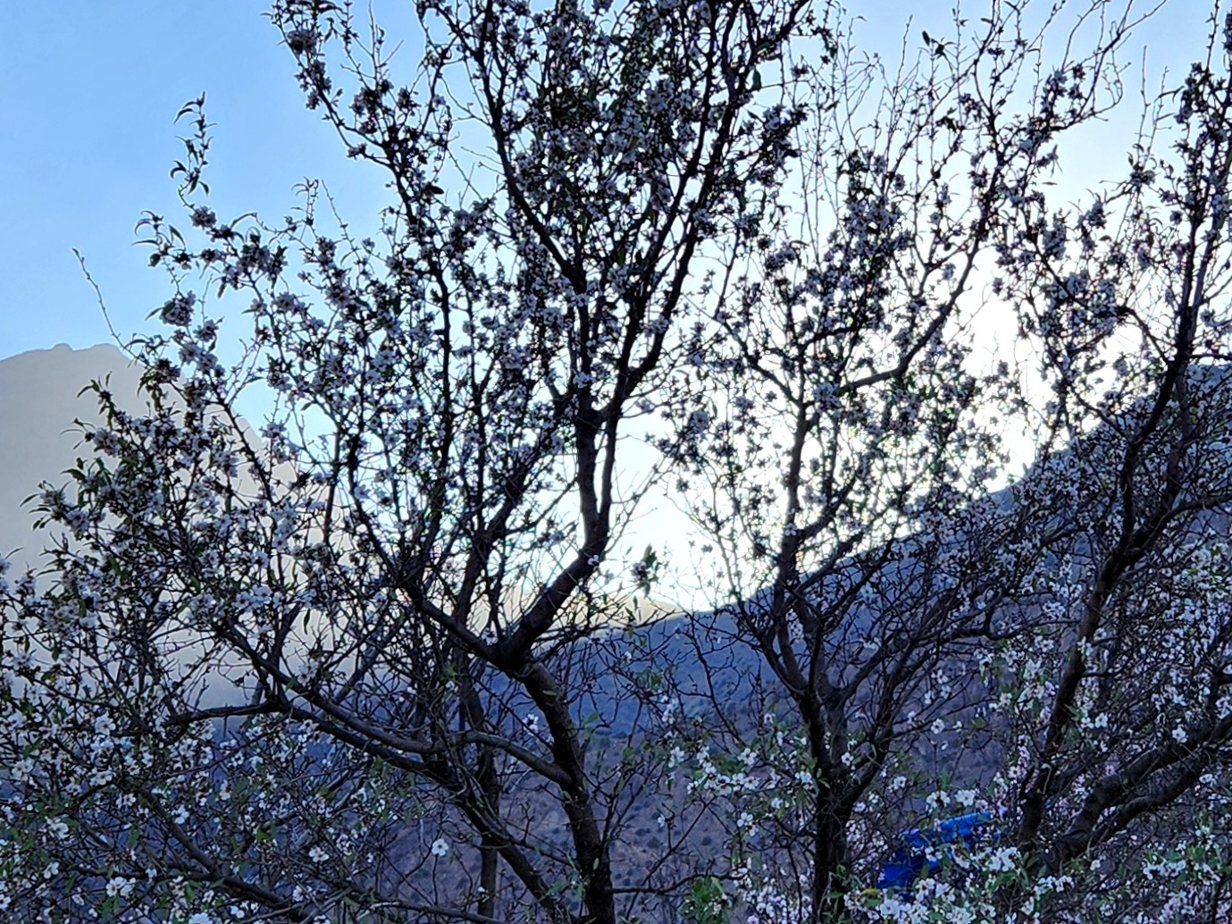 African sun and a howling blizzard: trekking through Morocco's High ...