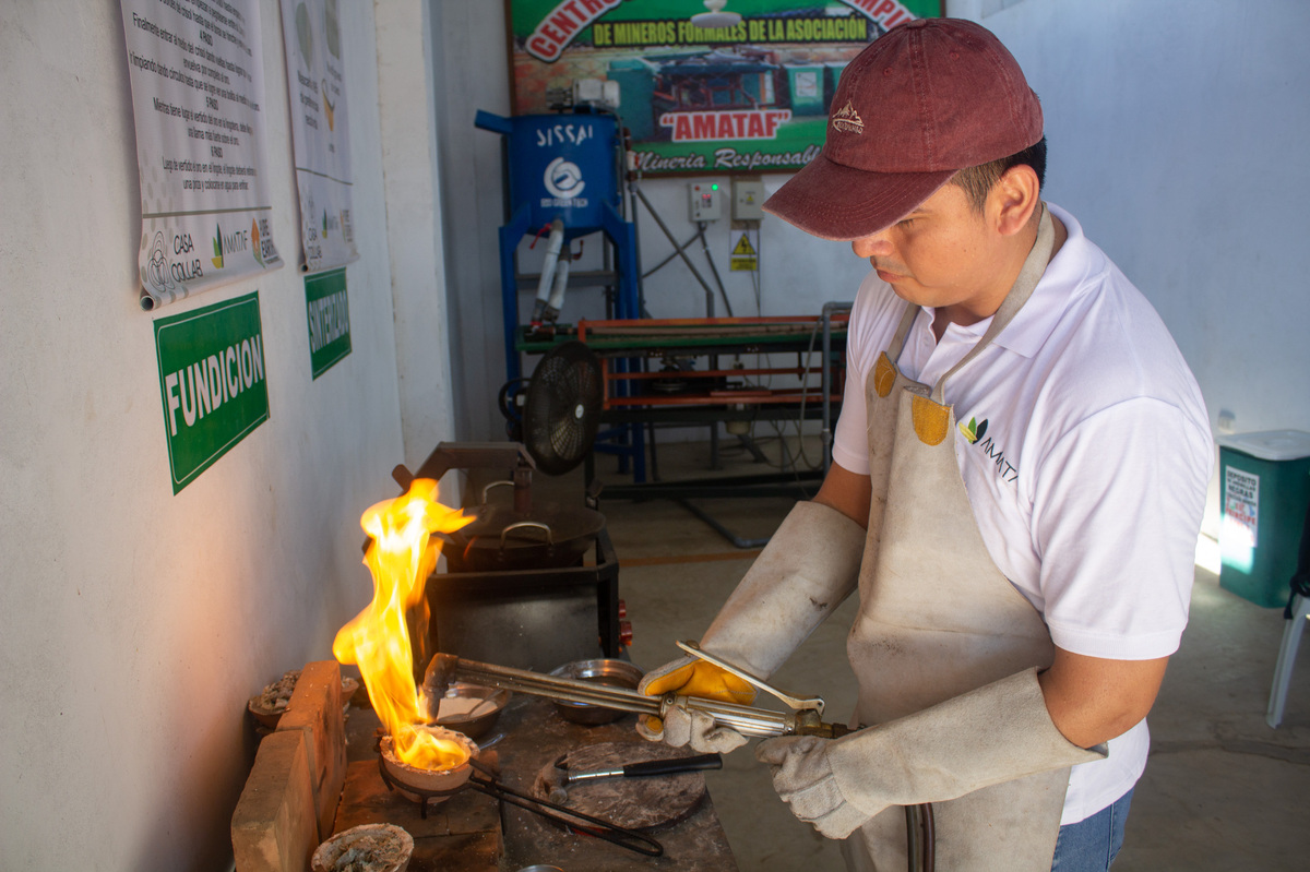 Amazon rainforest in Peru, ravaged by gold mining, is being restored ...