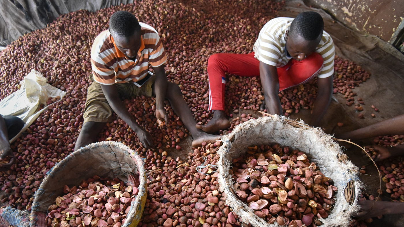 Coke's surprising history explored in 'Bottled: How Coca-Cola Became ...
