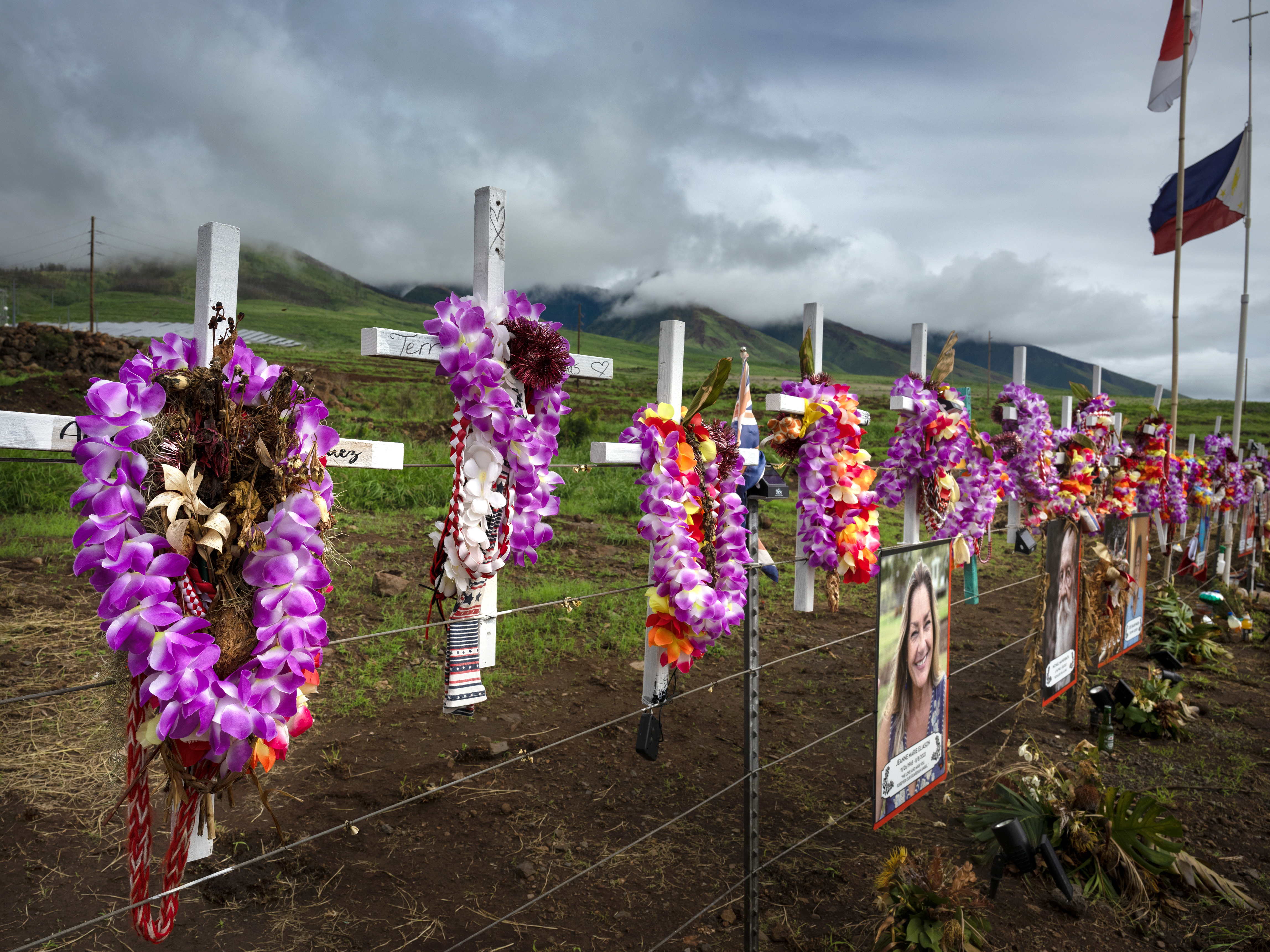 Native Hawaiians aim to bring cultural sensitivity to Maui wildfire ...