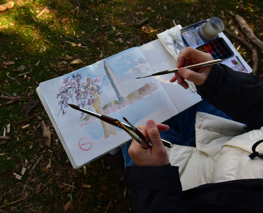 Photos: See D.C.'s cherry blossoms in peak bloom, bid farewell to ...