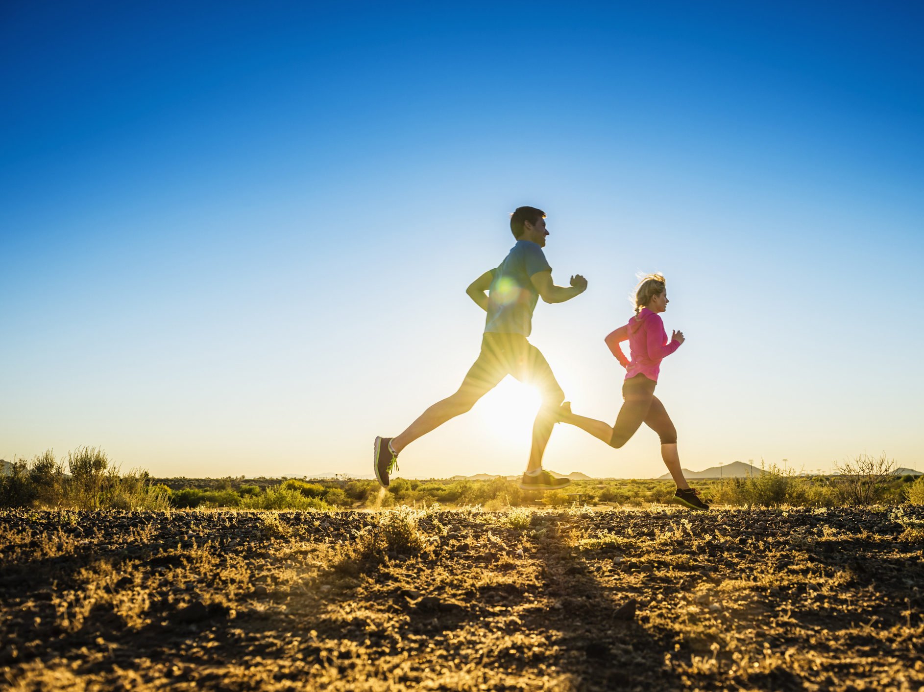 Your muscles keep time too. How circadian rhythms affect your workout ...