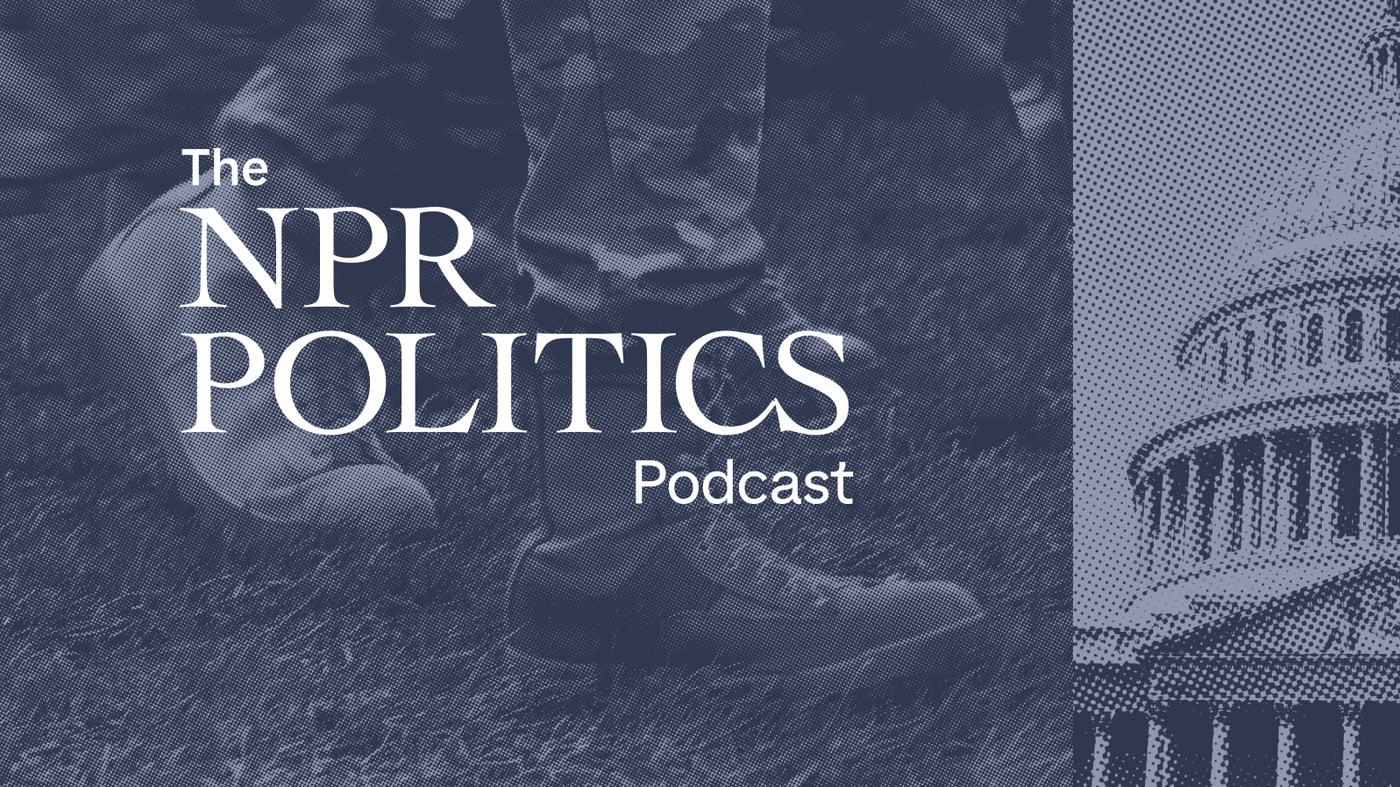 Podcast: The Insurrection Act's Comeback? : The NPR Politics Podcast : NPR