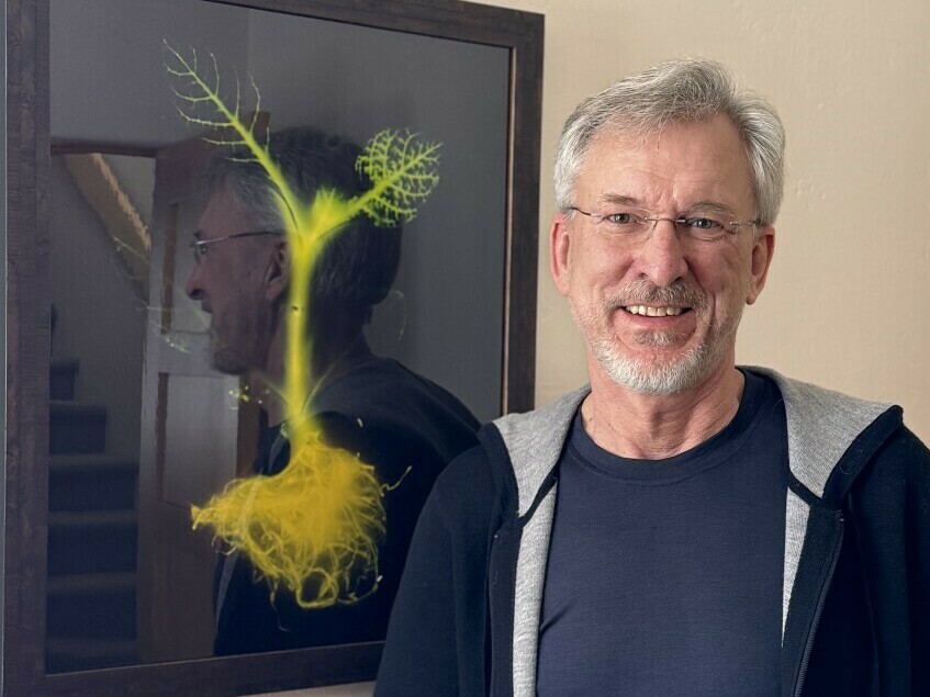 Watch your garden glow with new genetically modified bioluminescent ...