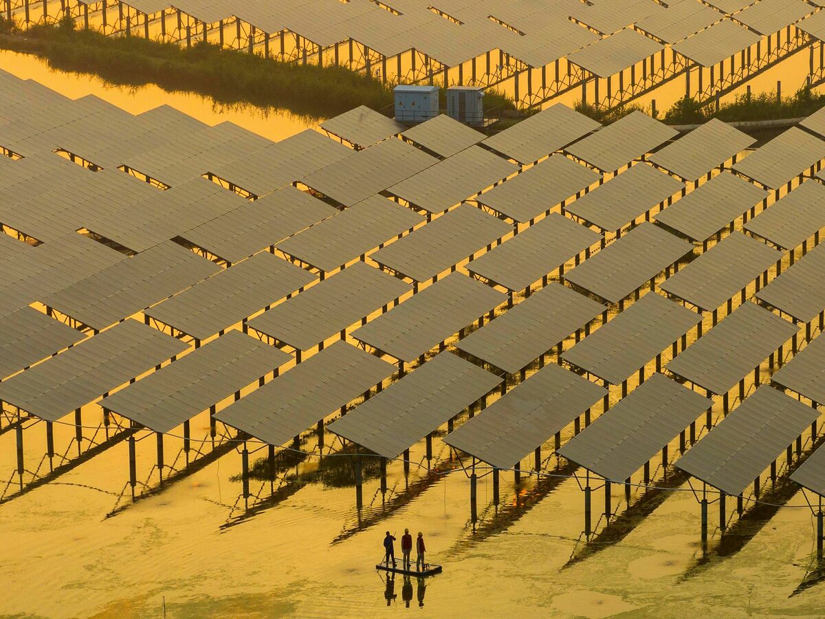 Seven tips to figure out what's a real climate solution : NPR