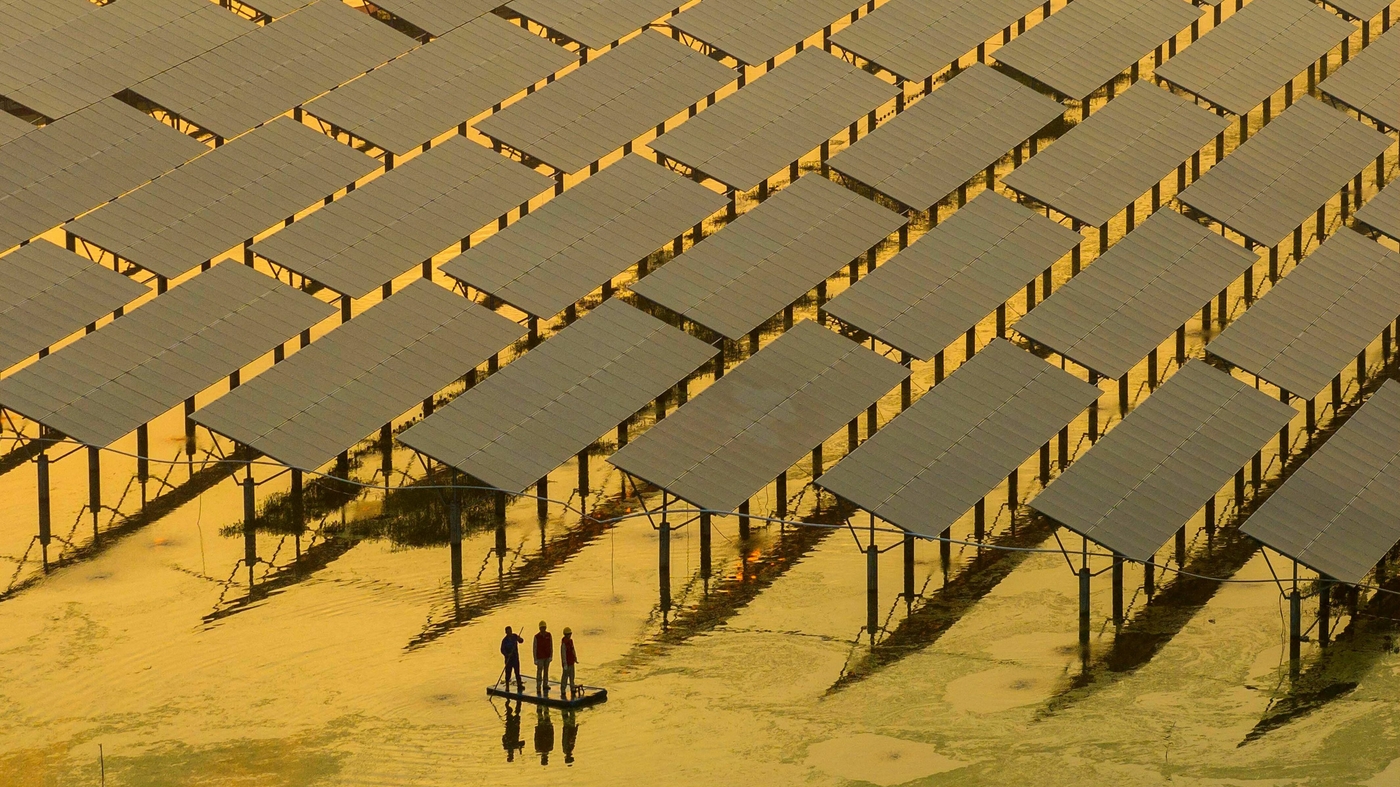 Seven tips to figure out what's a real climate solution : NPR