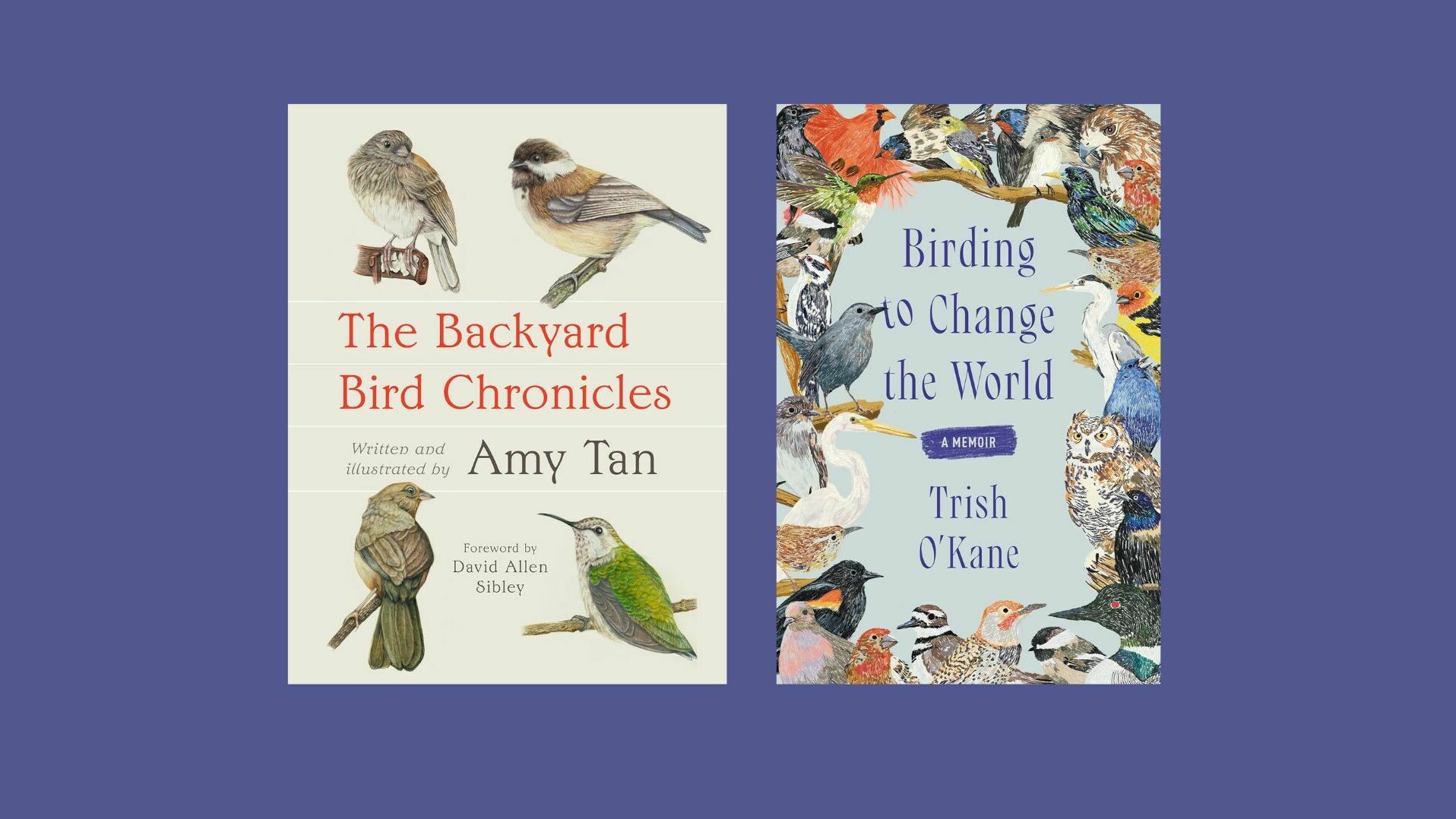 Looking for new ways to appreciate nature? 2 new birding books may help ...
