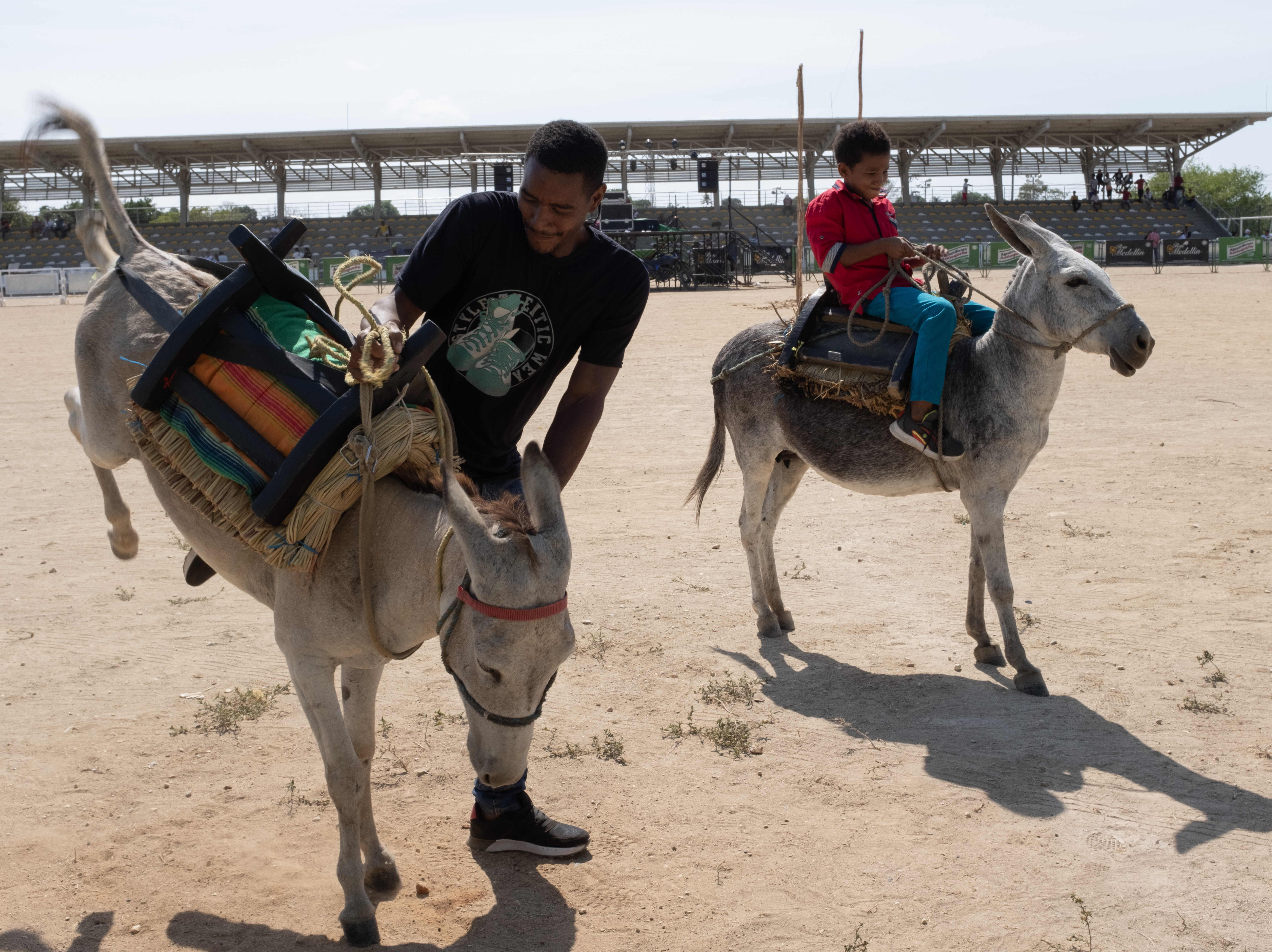 Donkeys take center stage at an annual festival in Colombia | NCPR News