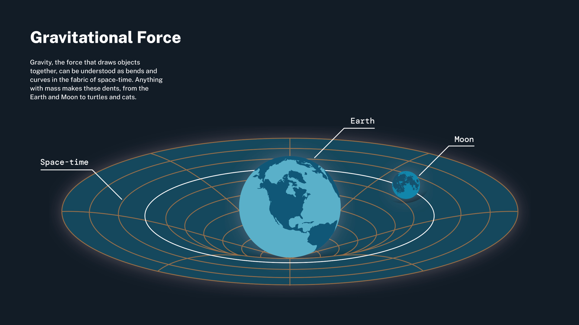 From the physics of g-force to weightlessness: How it feels to launch ...