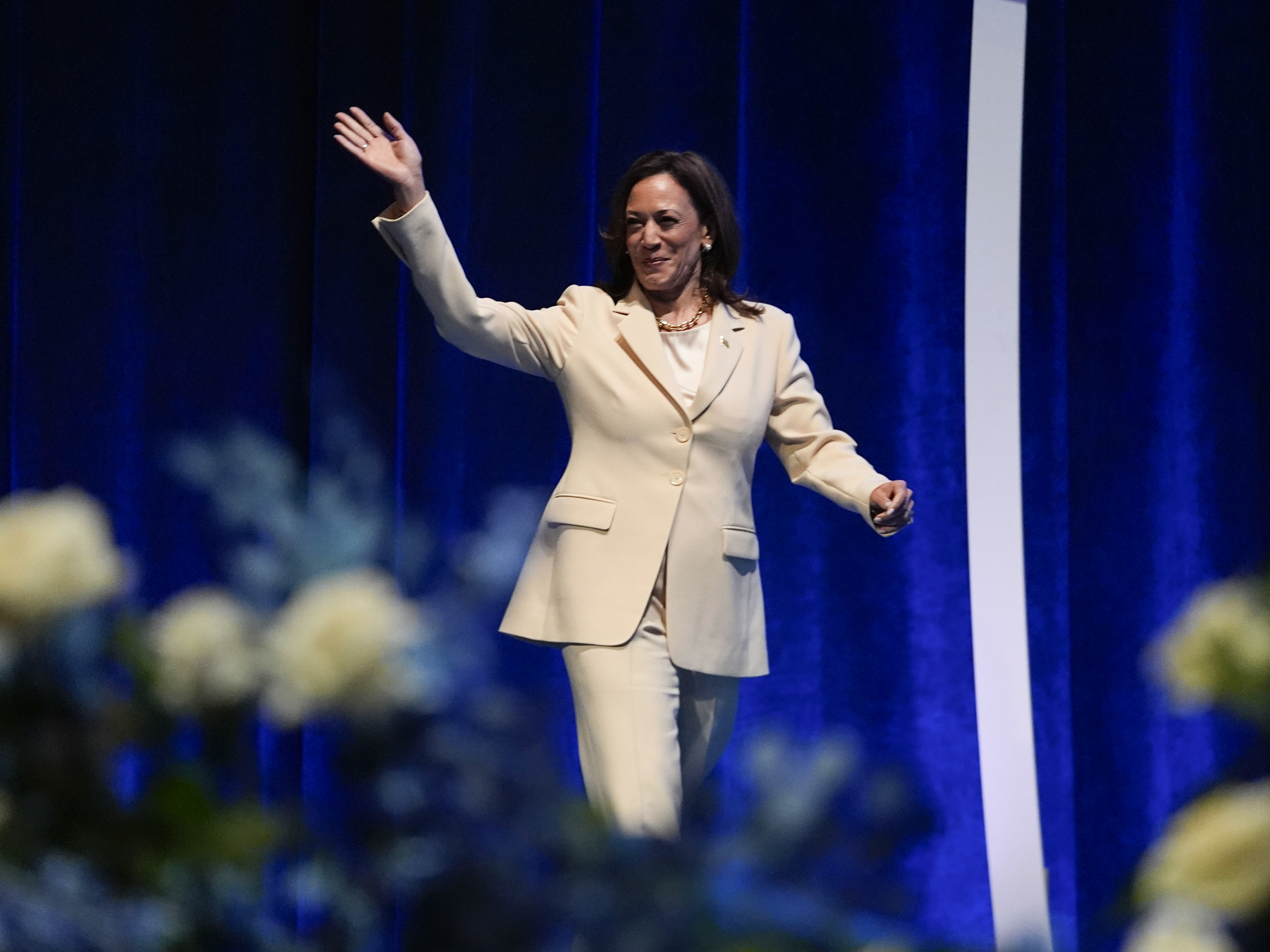 Who will Vice President Kamala Harris pick to be her running mate ...