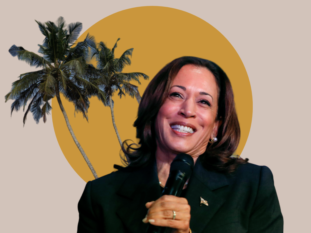 The misunderstood humor of political memes | NCPR News