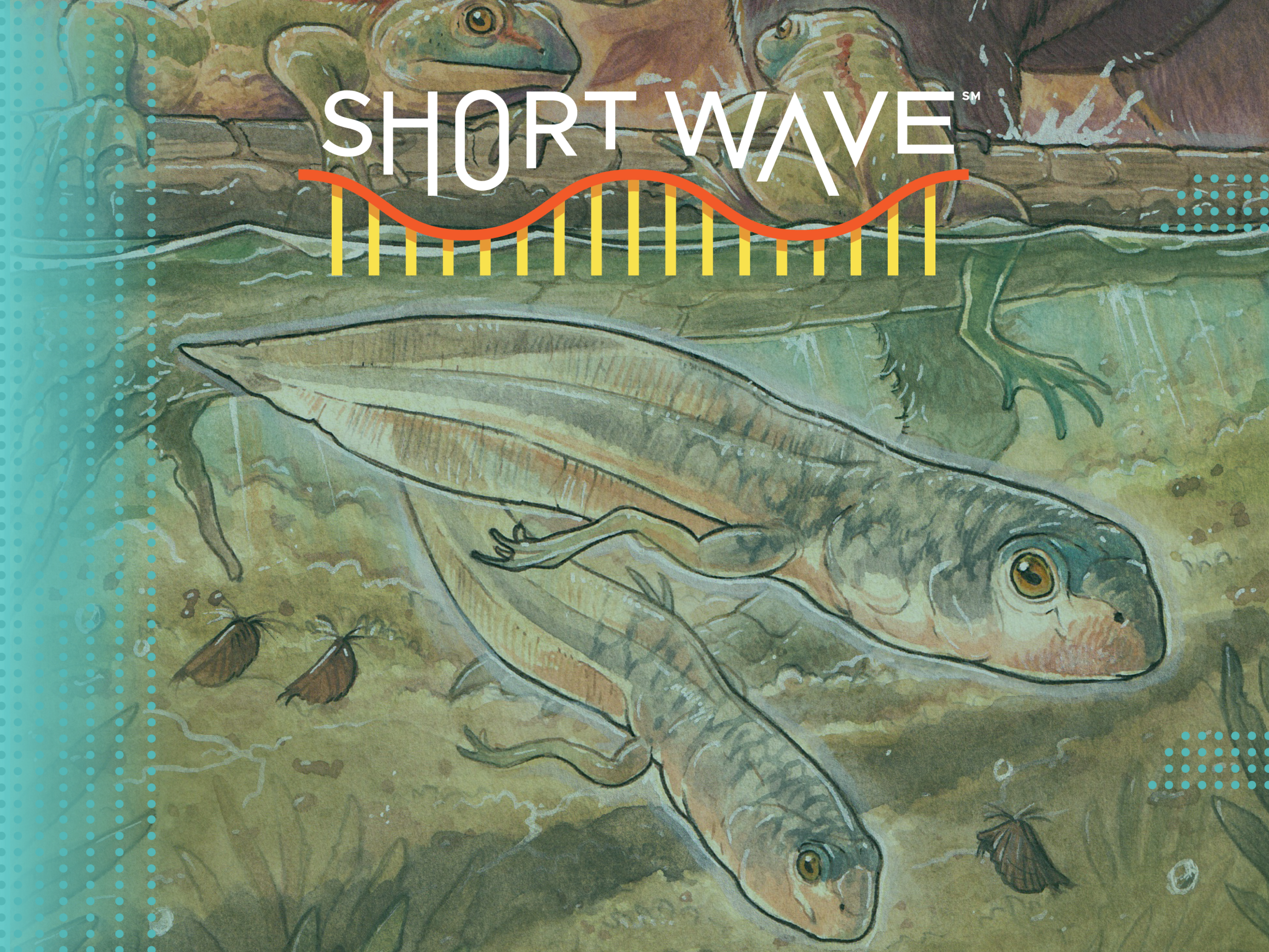 The oldest tadpole ever found is 161 million years old and amazingly ...